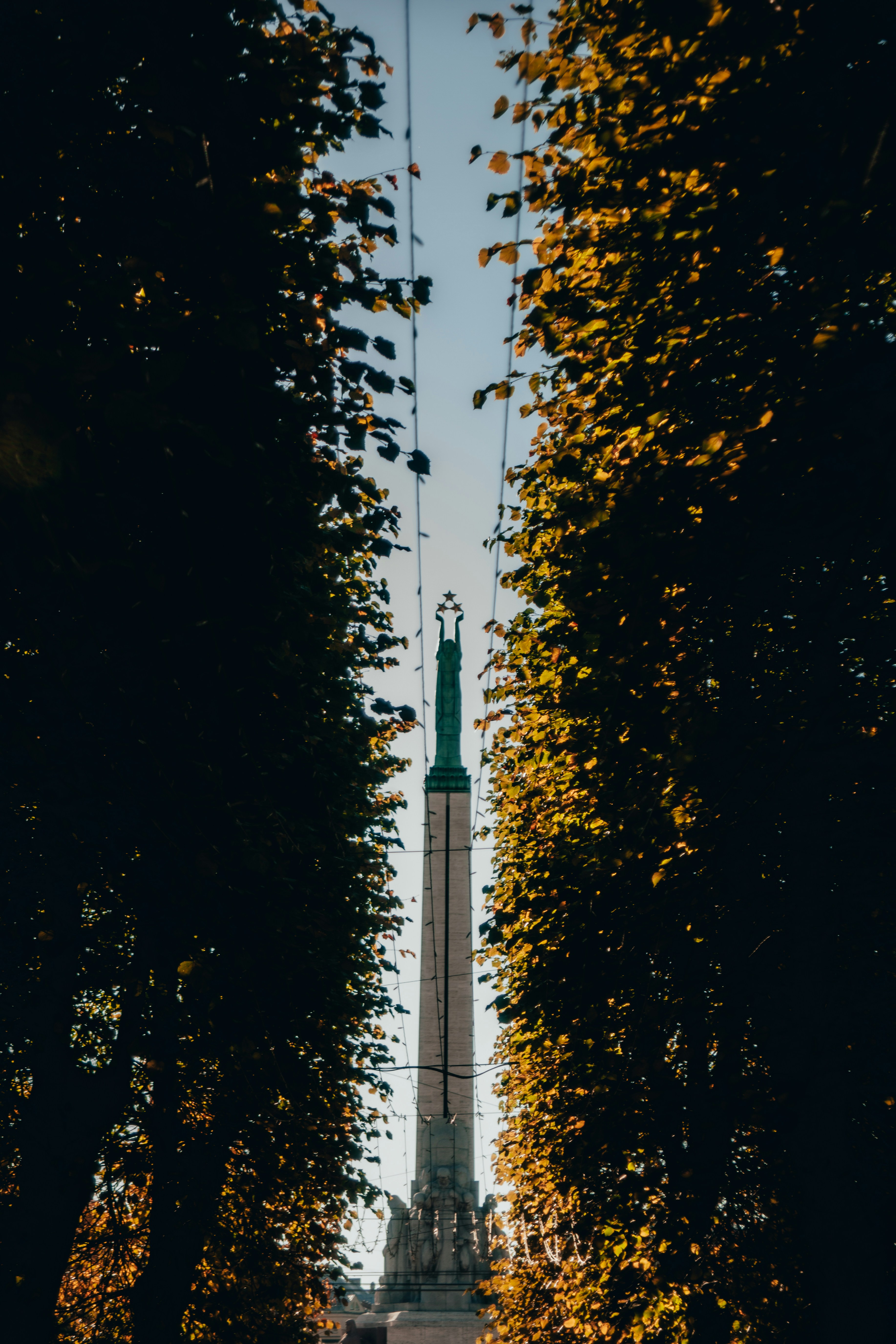 Obelisk in the Sun: Tree-Framed Ascent to a Statue Summit