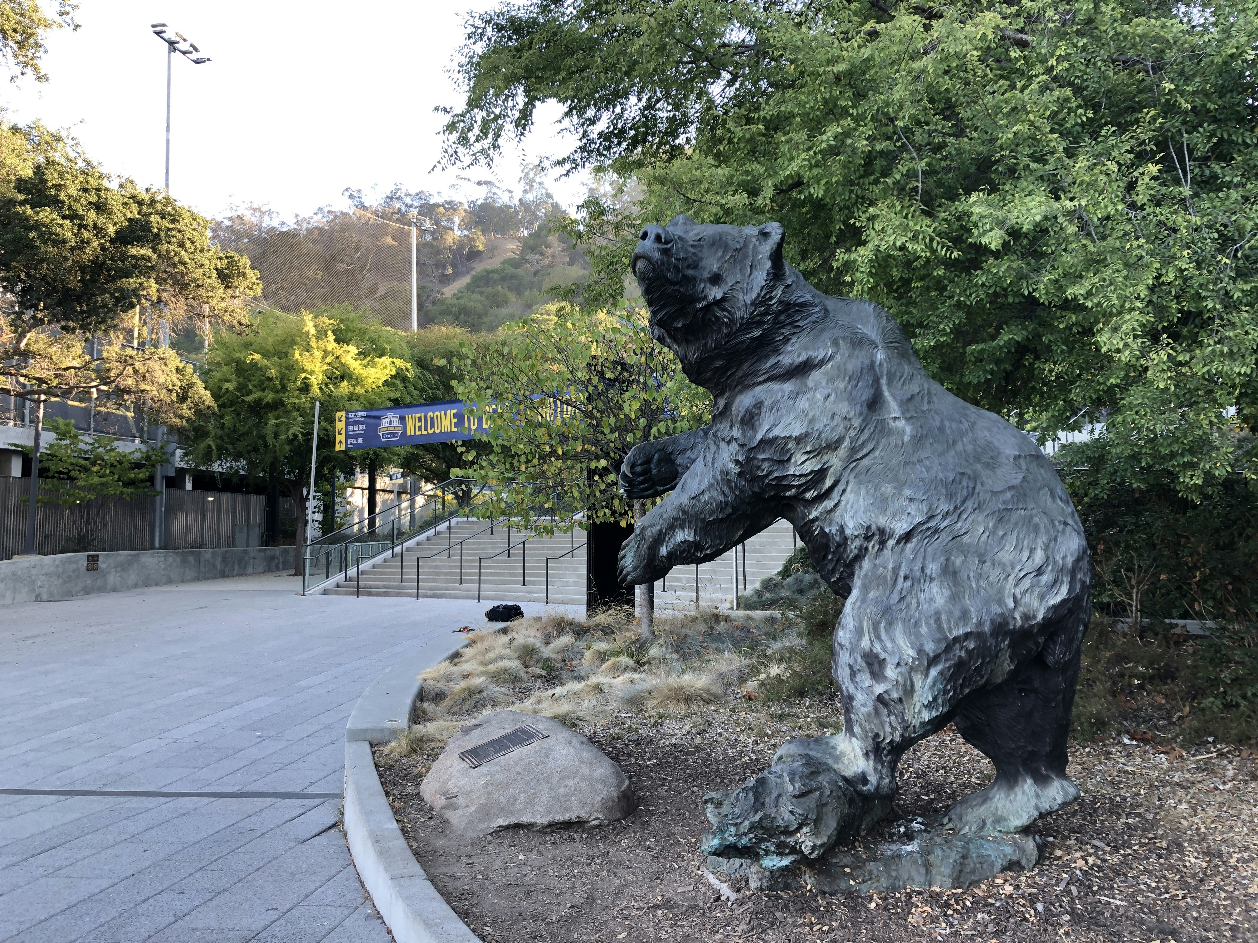 Bronze bear sculpture in a landscaped area surrounded by trees and pathways.