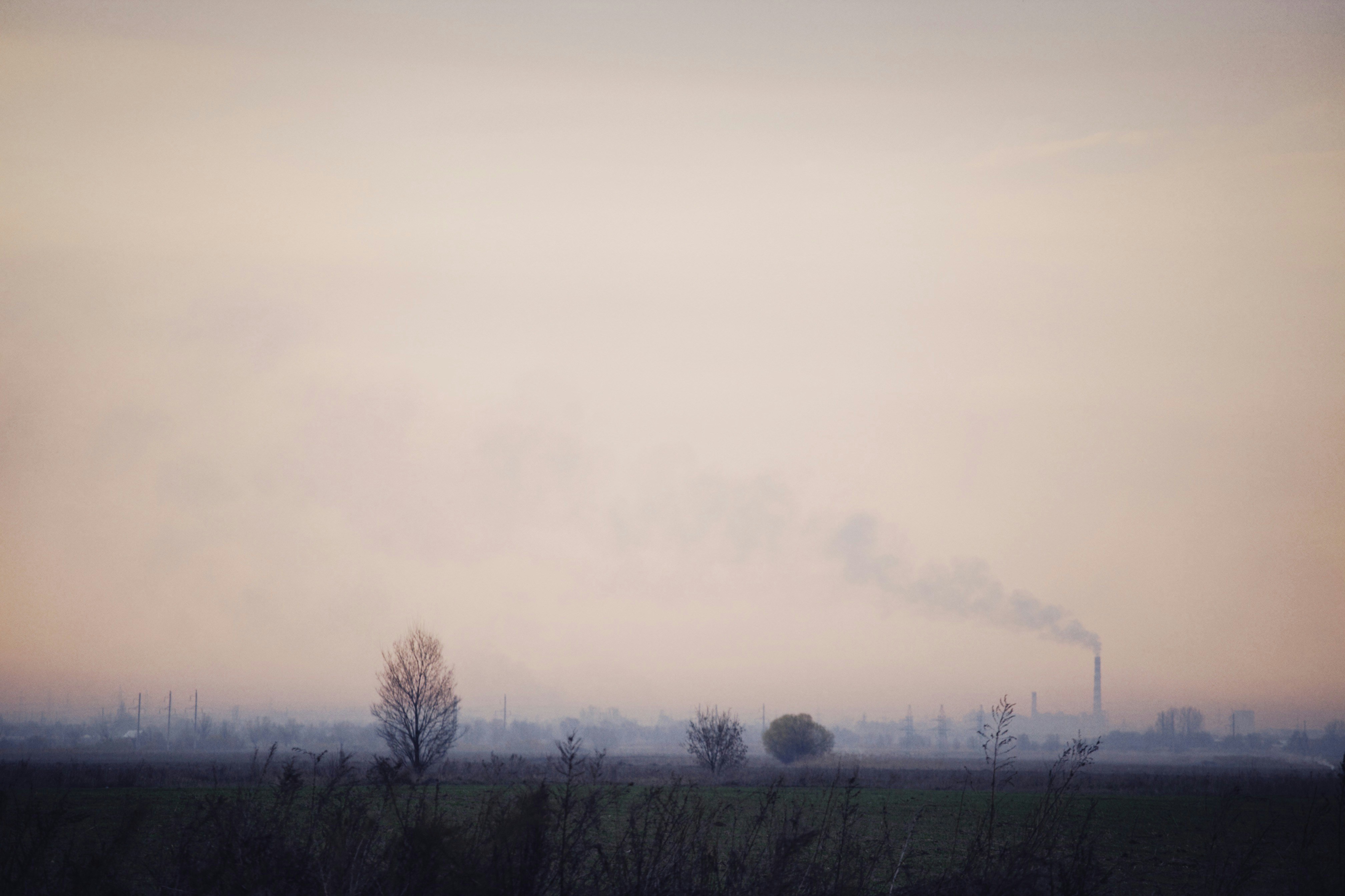 smoke billows from a factory in the distance