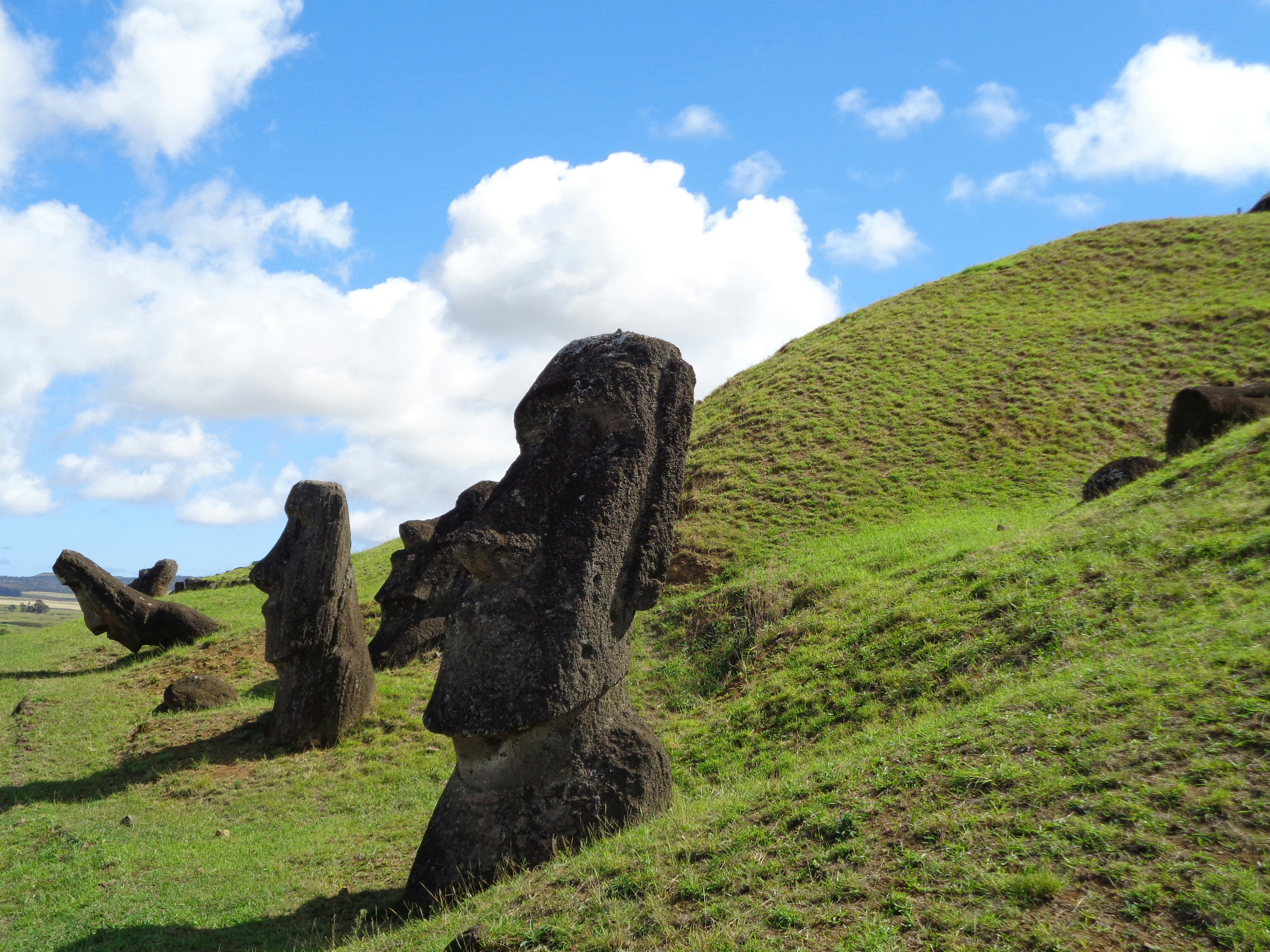 Moai statues stand sentinel on a lush green hillside under a bright blue sky, showcasing the rich cultural heritage of Easter Island.