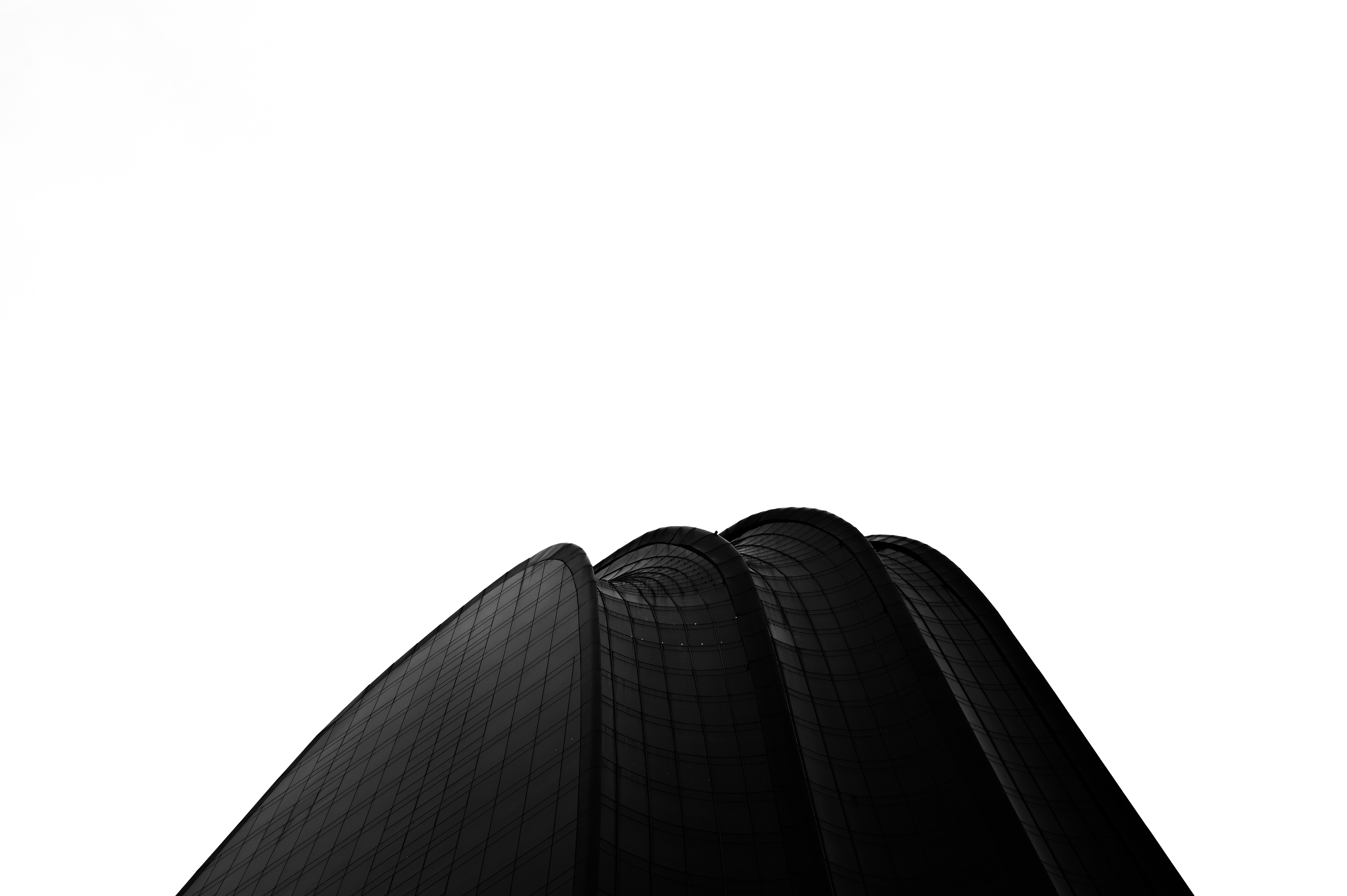 Silhouette Ribs: A Quiet Descent into Curves