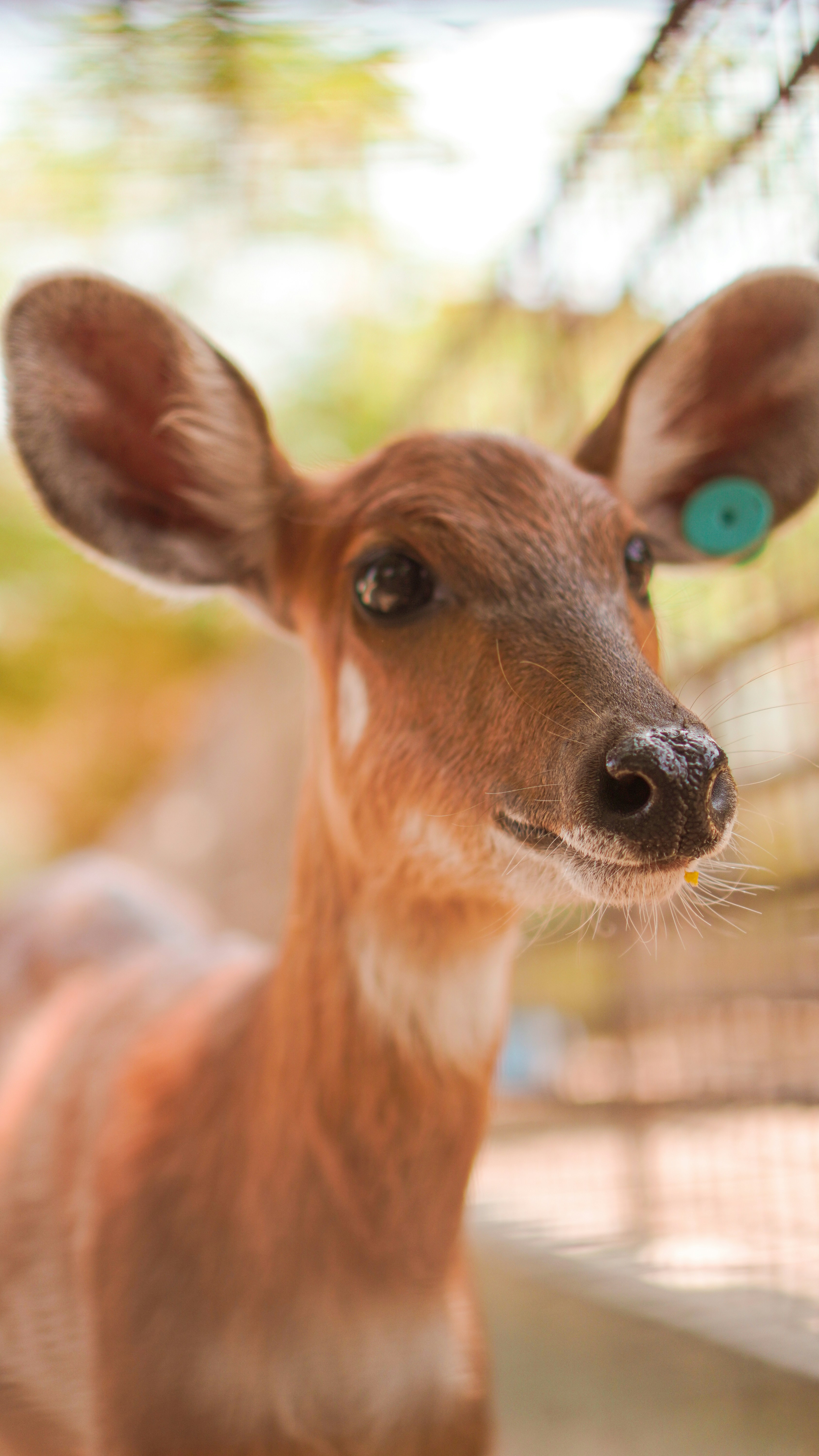 Sample photo from Sony Alpha 6100