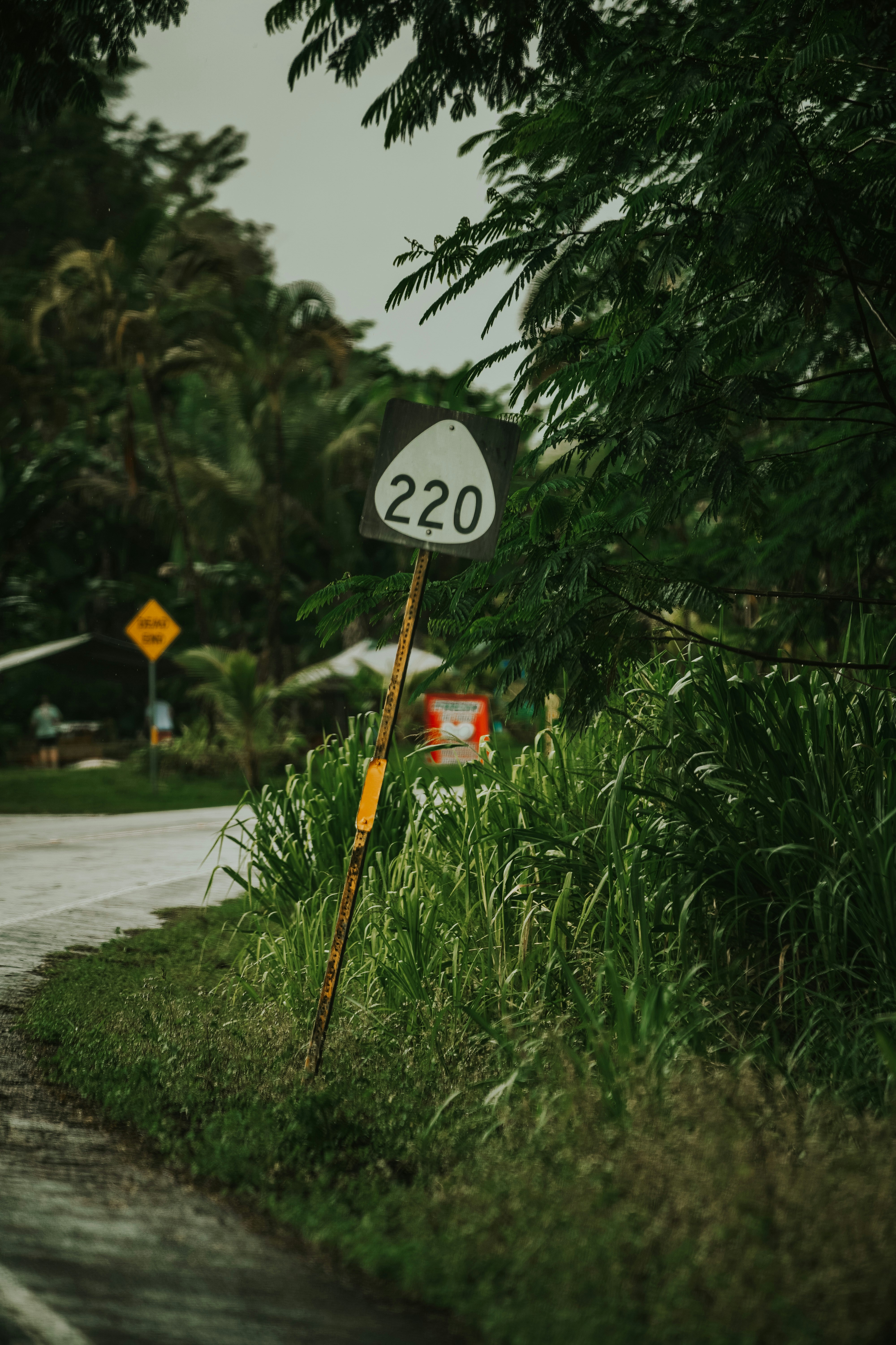 Weathered road sign marked '220' standing amidst lush greenery along a winding path. The scene captures the serene atmosphere of a rural landscape.