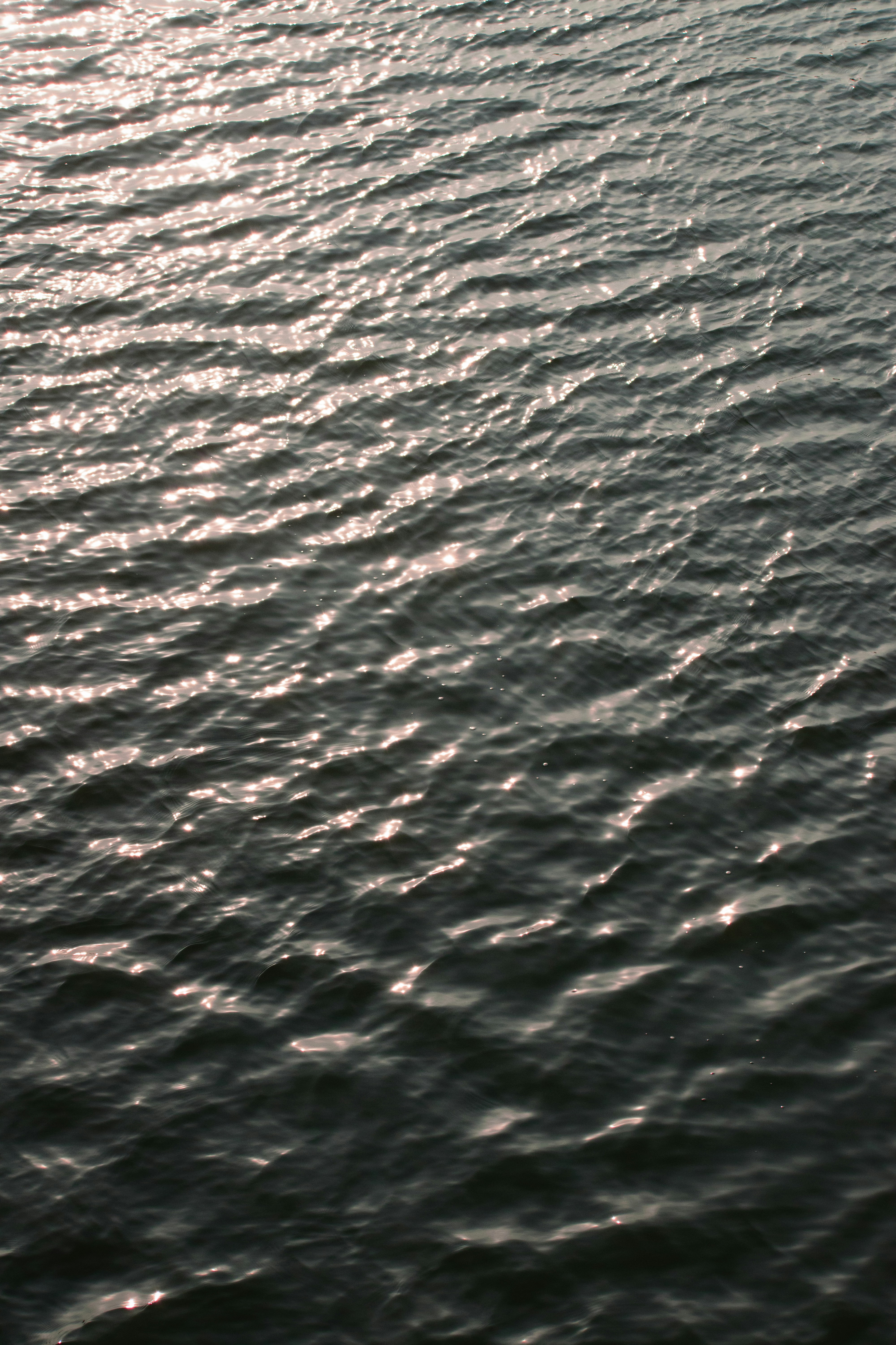 Gentle ripples on the water's surface reflect shimmering light, creating a serene and tranquil scene.