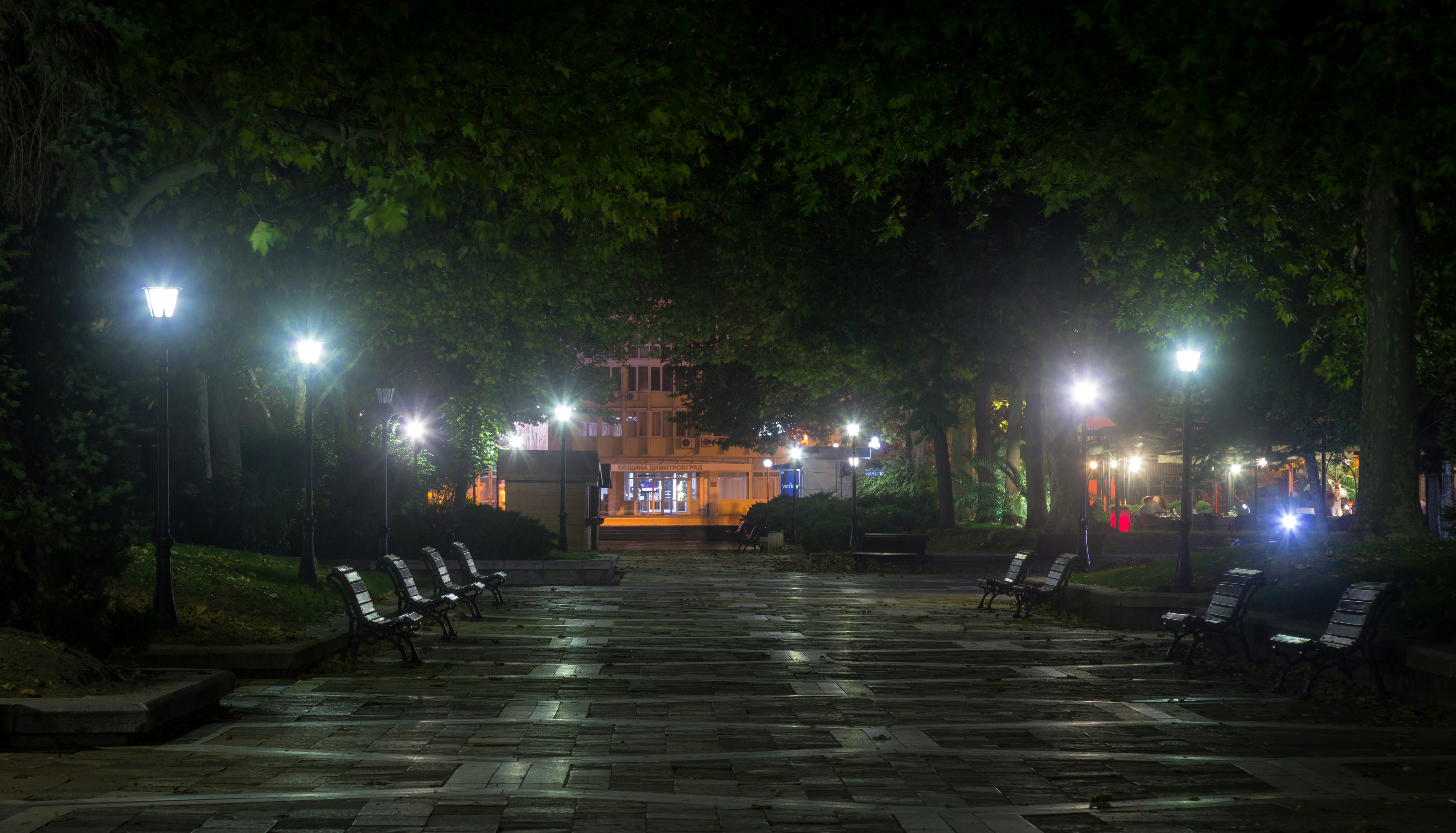 A tranquil park pathway illuminated by street lamps, leading towards a softly lit building in the background. The scene captures the essence of nighttime calmness.