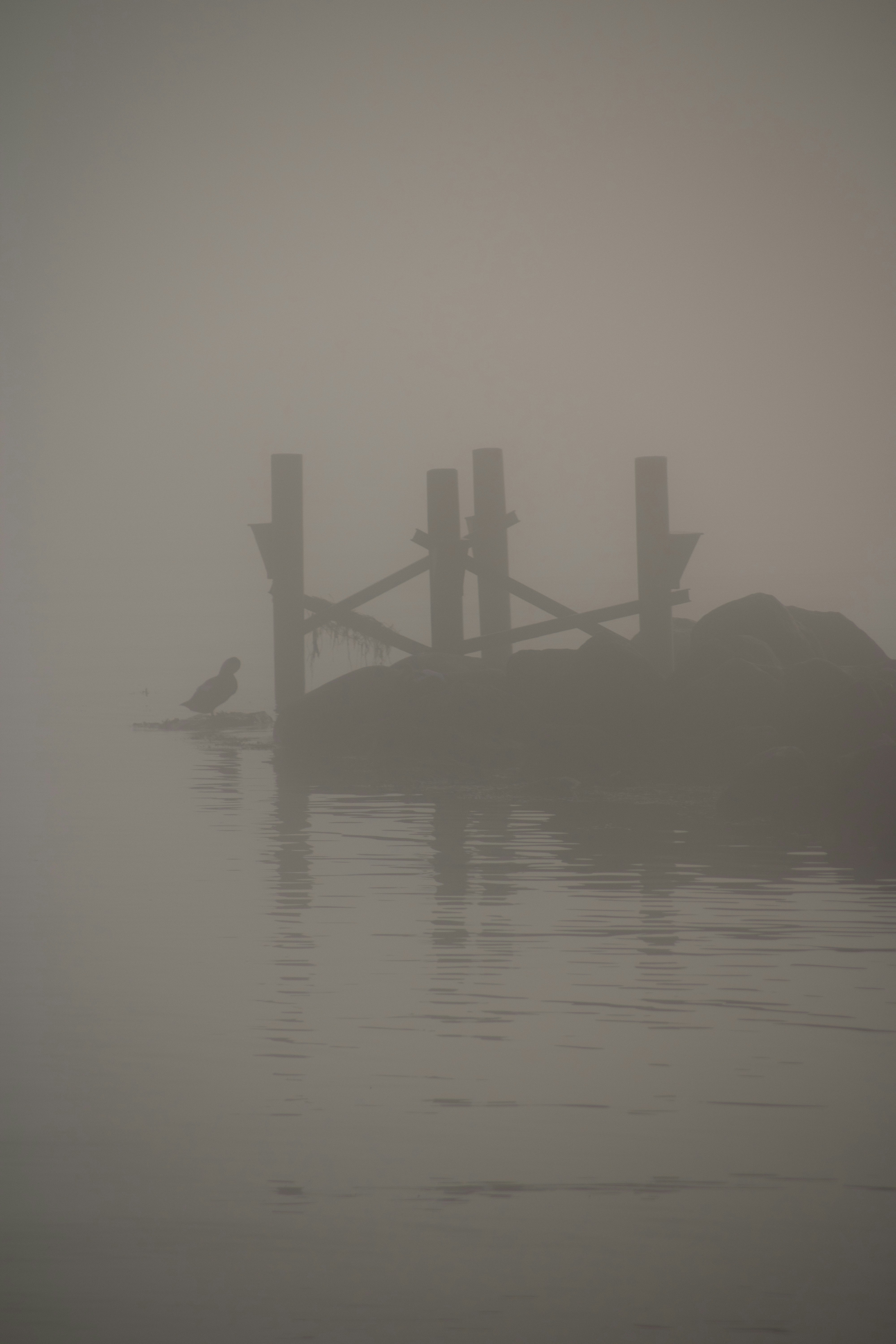 Mist Veil at the Pontoon