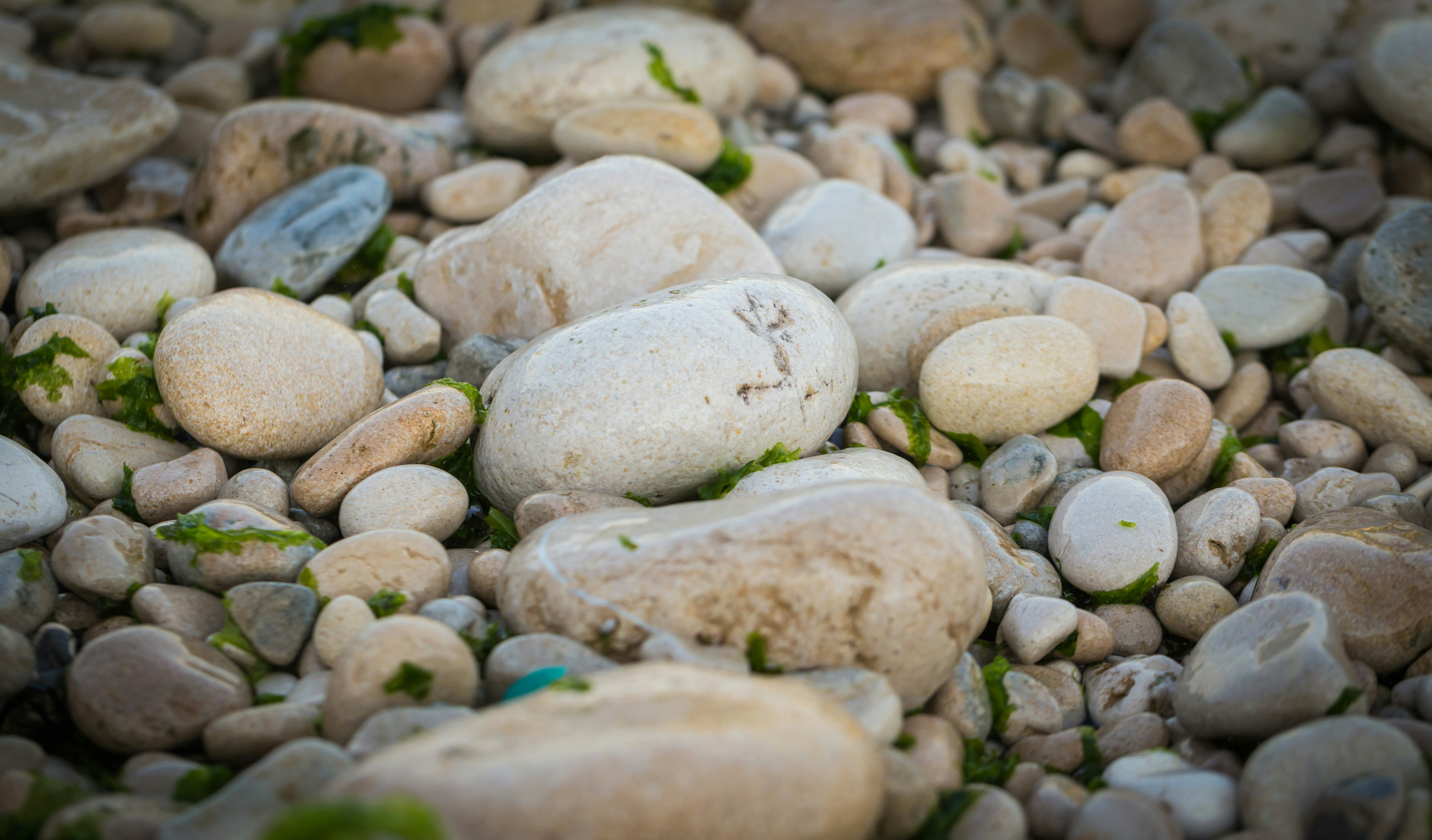Pebble Mosaic: Close-Up of Sunlit Shoreline Texture