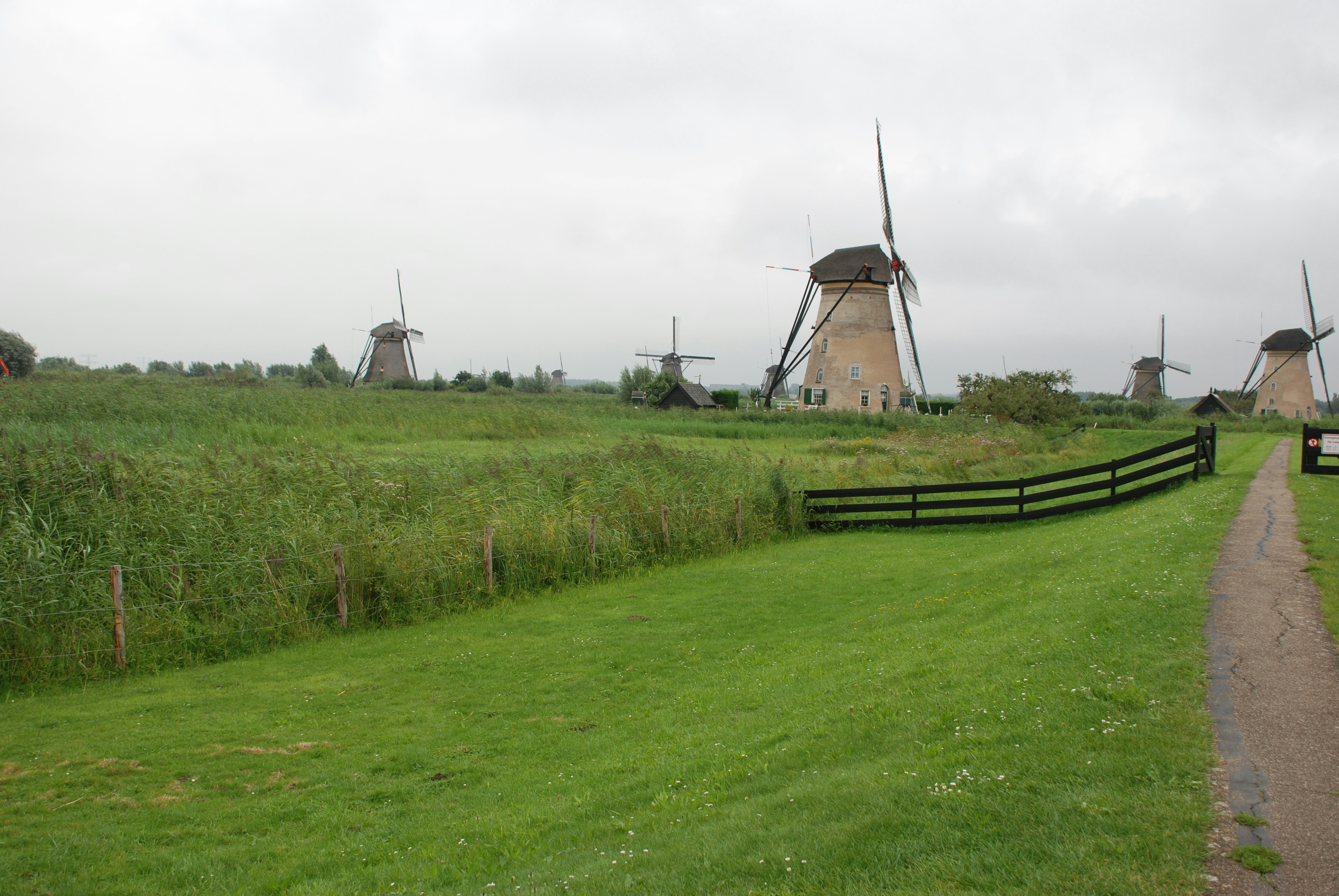 Historic windmills stand tall amidst lush greenery under a cloudy sky, showcasing traditional Dutch architecture.