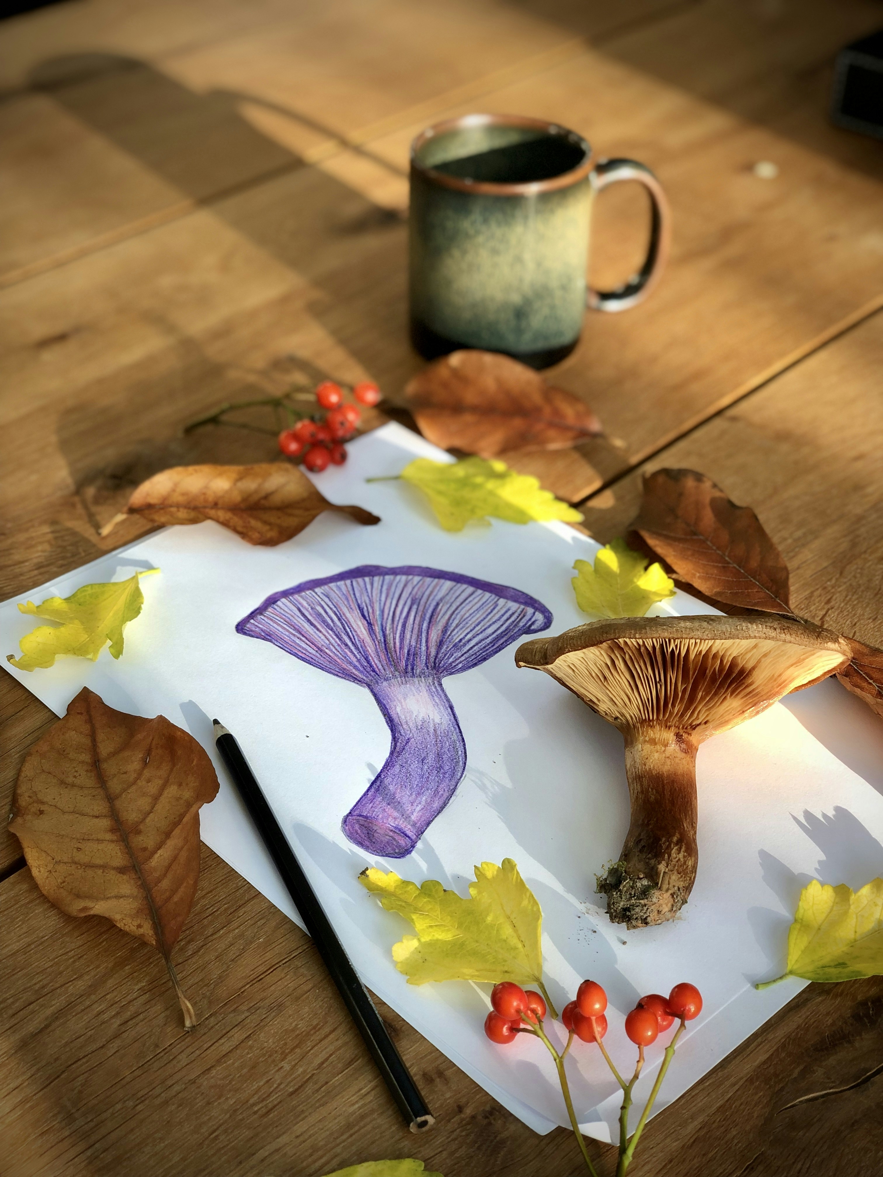 Autumn Studio: Mushroom Study on a Wooden Table with Leafy Accents
