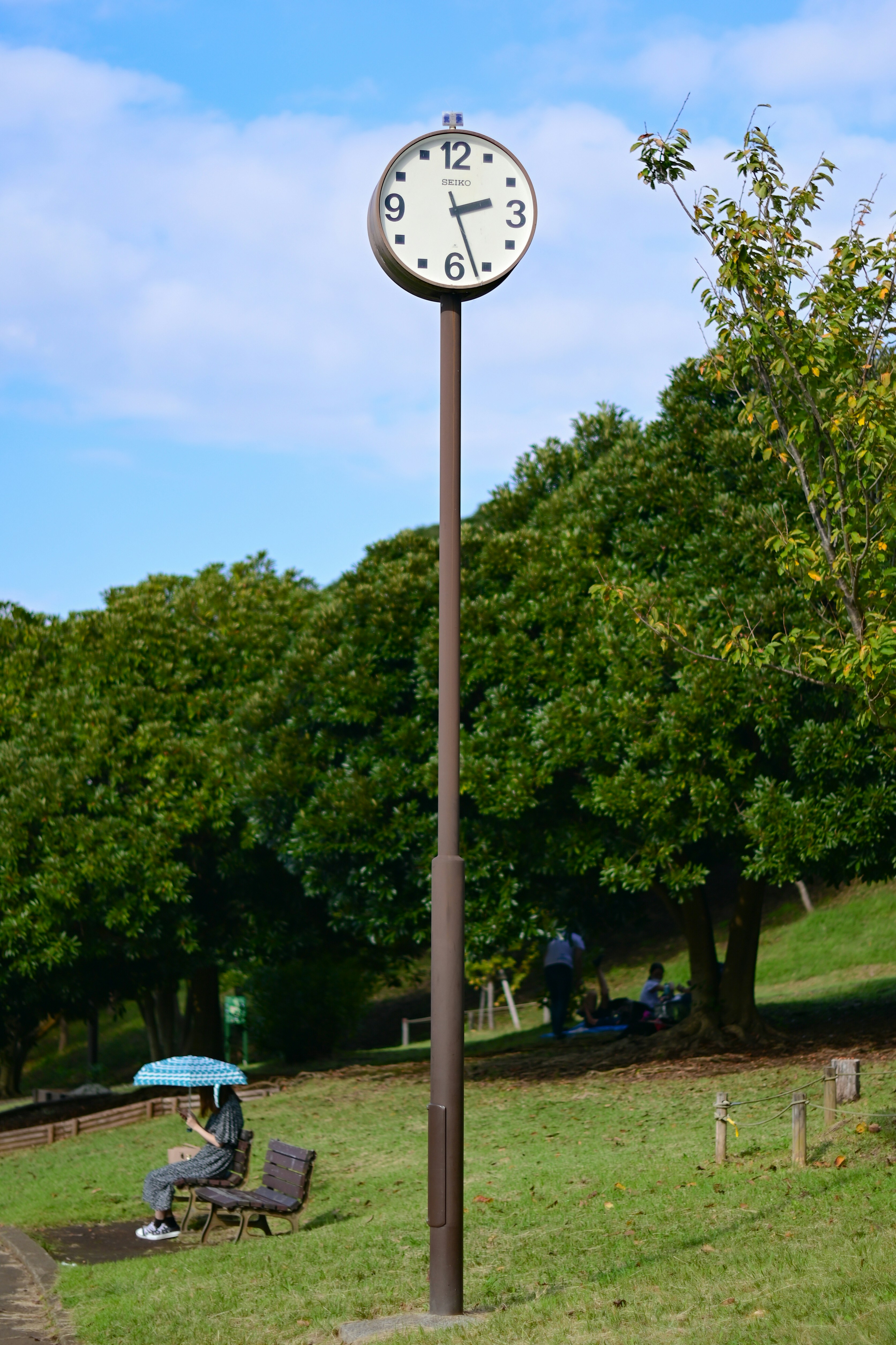 A clock on a pole in the middle of a park photo – Free Clock Image on Unsplash