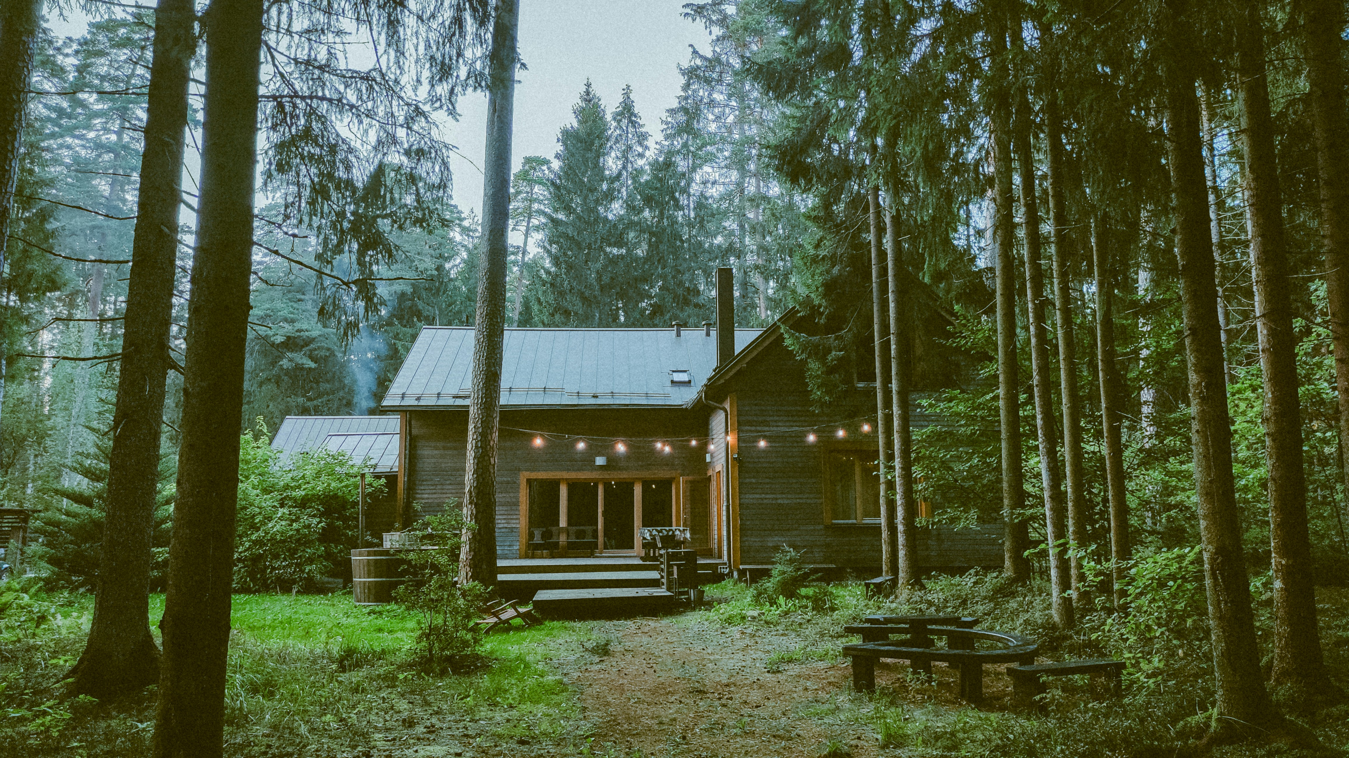 Cozy cabin nestled among towering trees, illuminated by warm lights, inviting tranquility in a serene forest setting.
