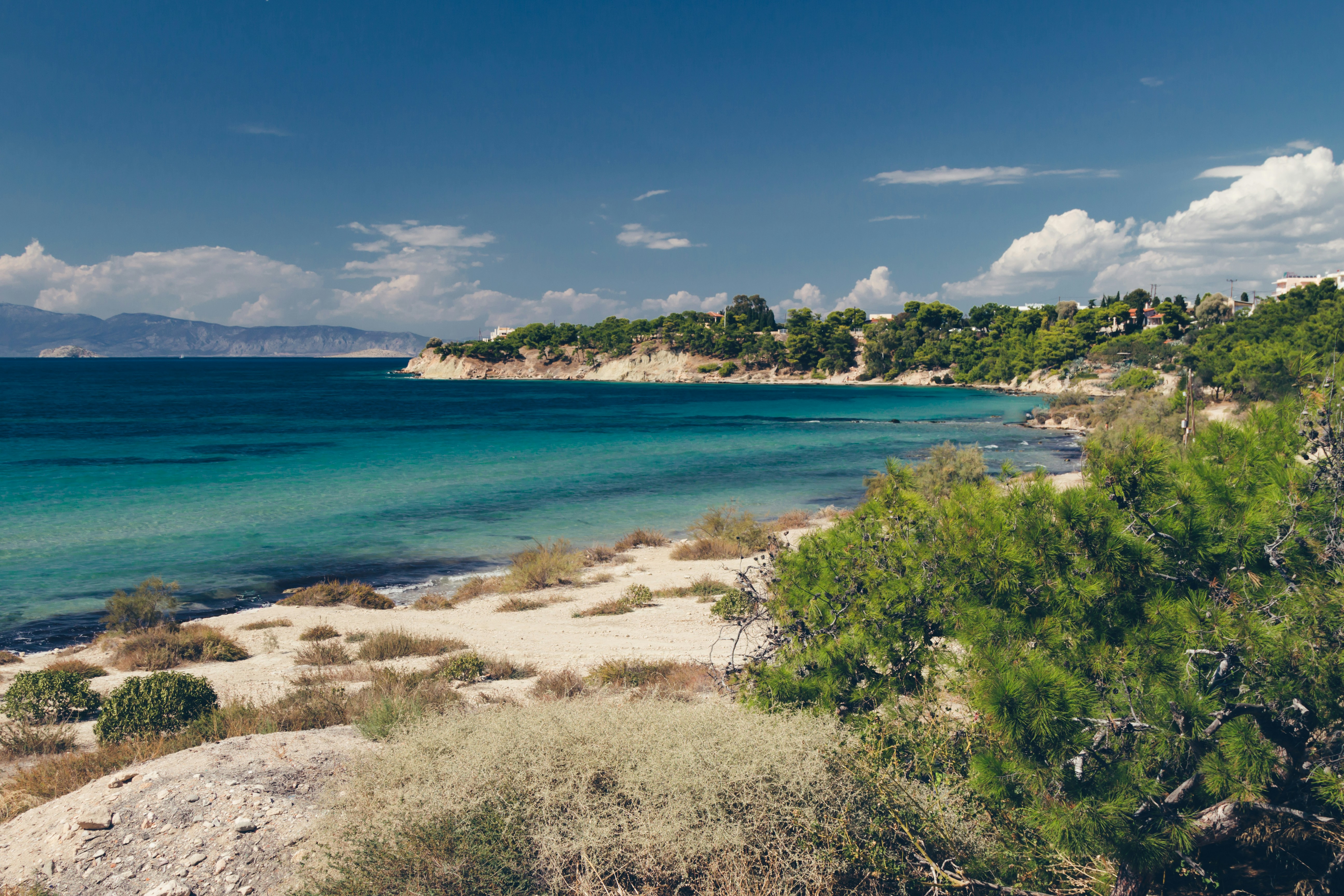 Sandy beach bordered by lush greenery and clear blue waters under a bright sky.