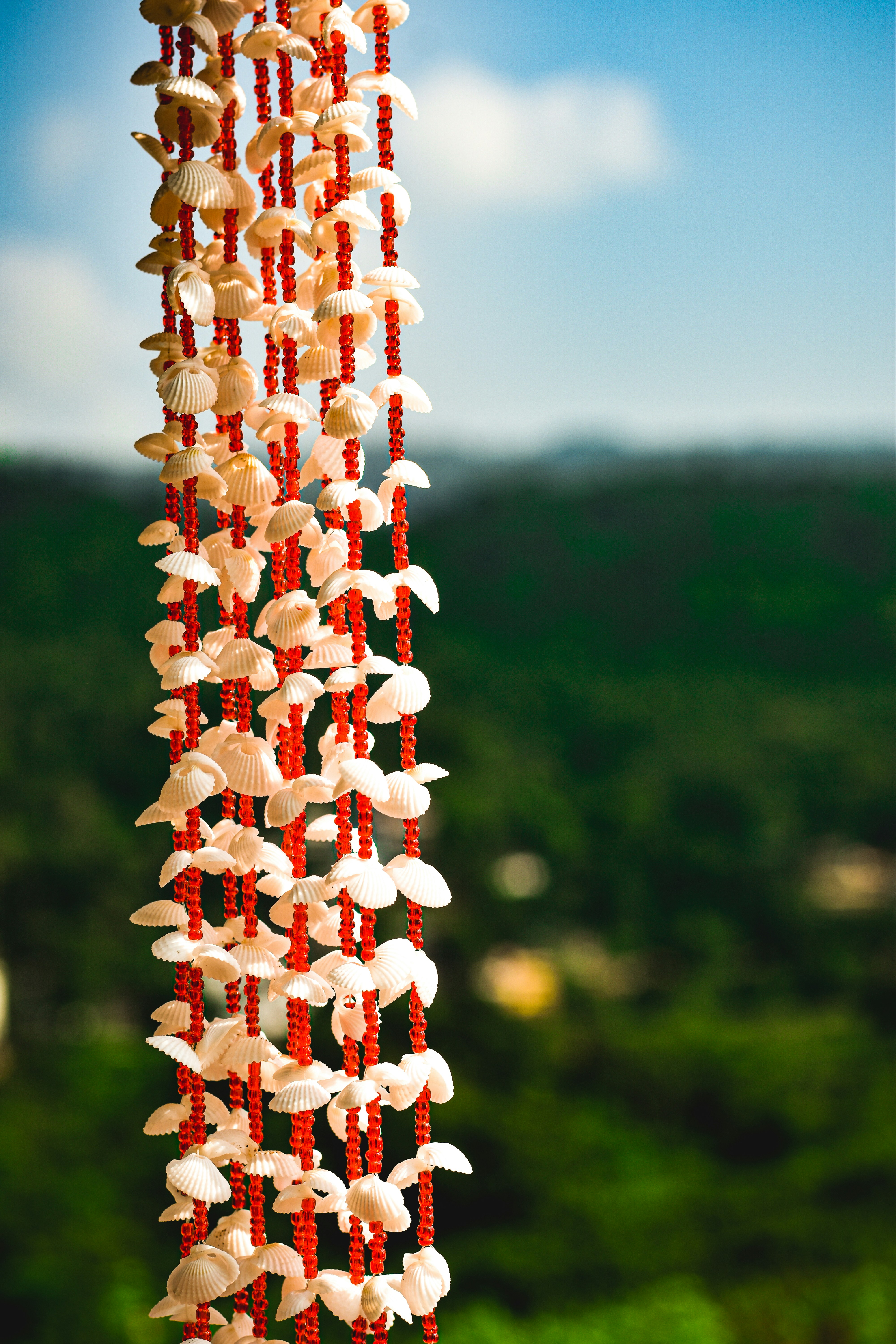 Colorful shell garland adorned with red beads, cascading against a lush green backdrop. The vibrant decoration evokes a sense of coastal charm.
