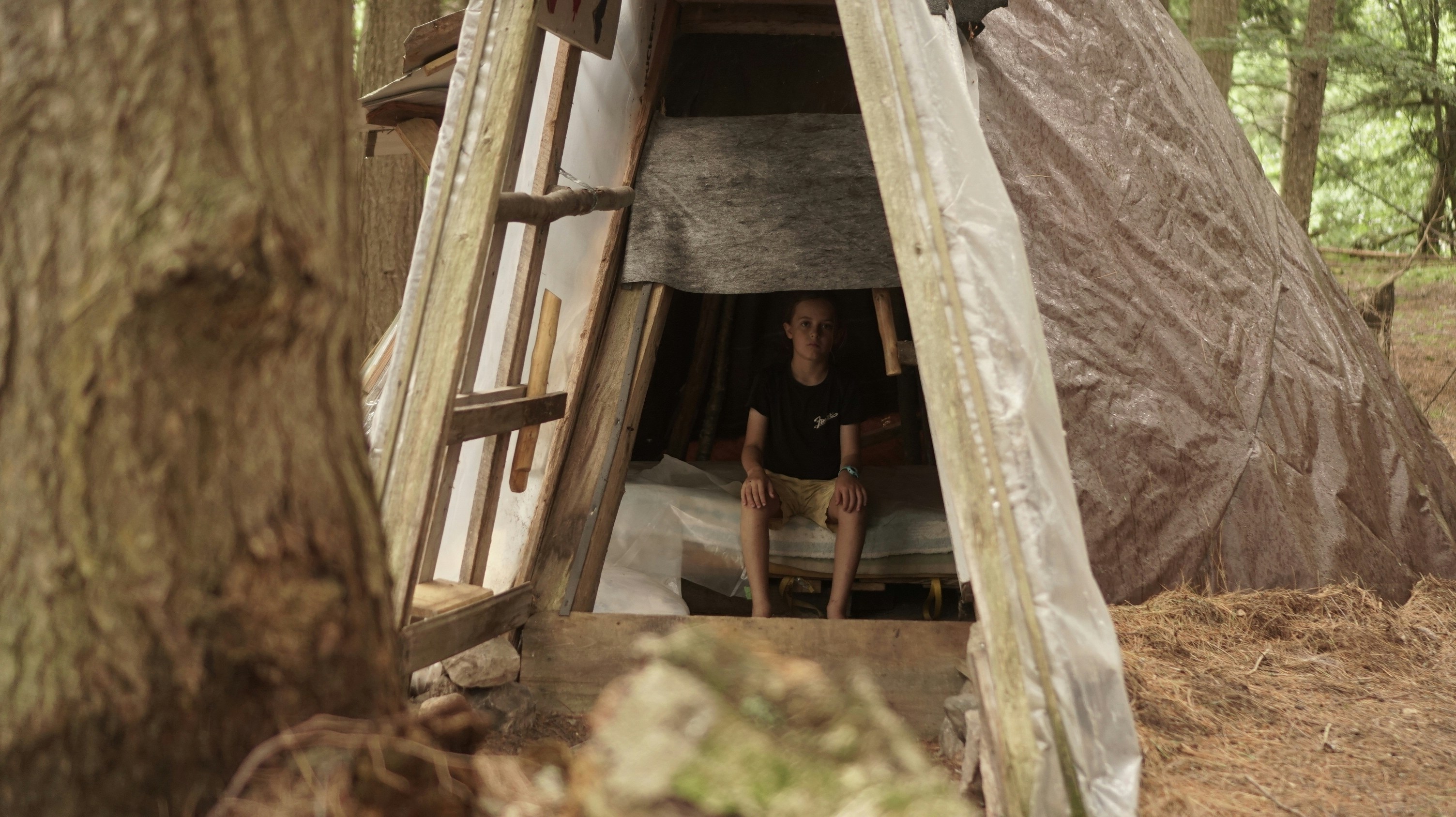 Forest Shelter: A lone camper sits inside a weathered canvas tent among sun-dappled pines