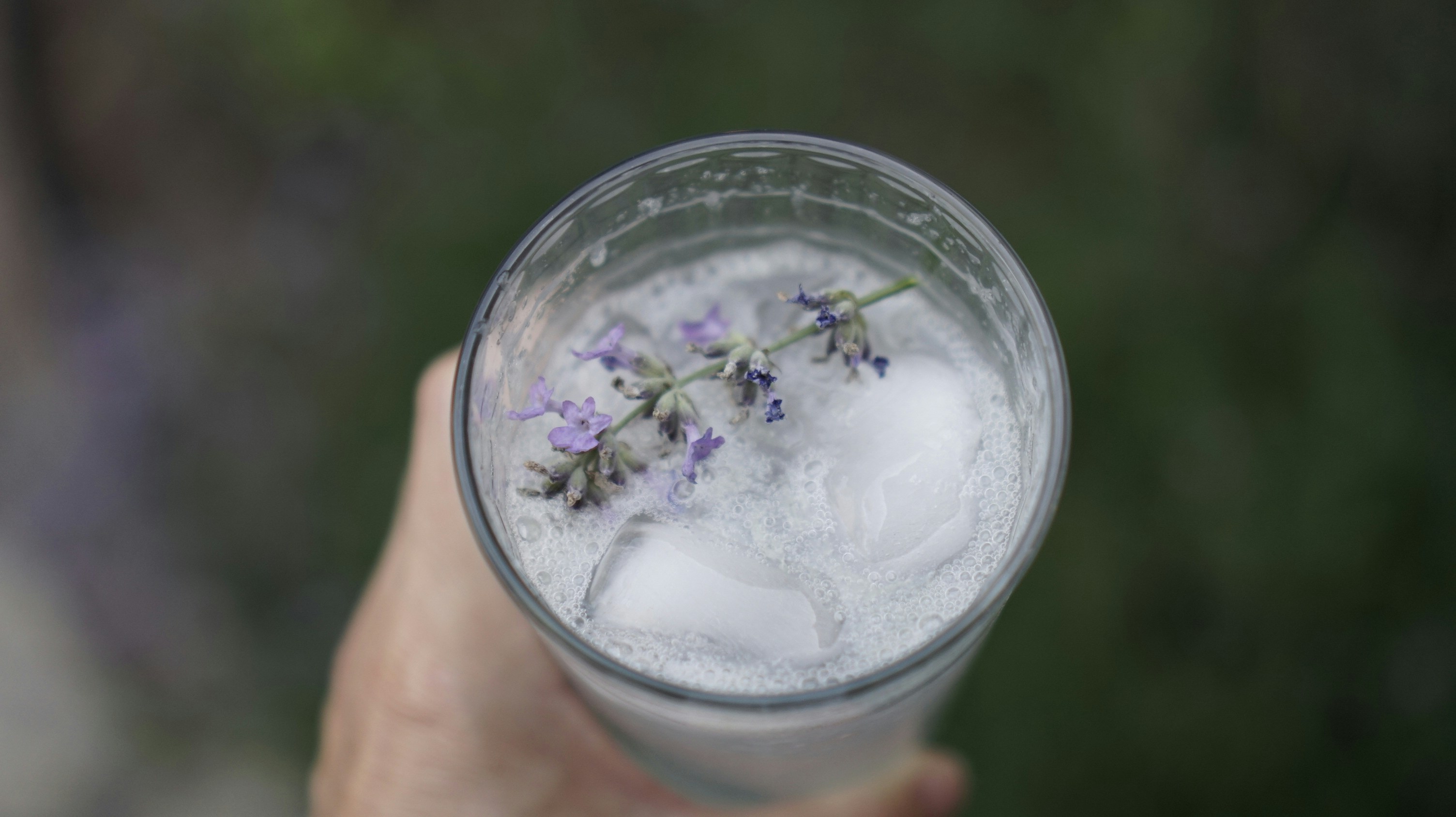 Glass filled with sparkling water, ice cubes, and delicate lavender flowers floating on top.