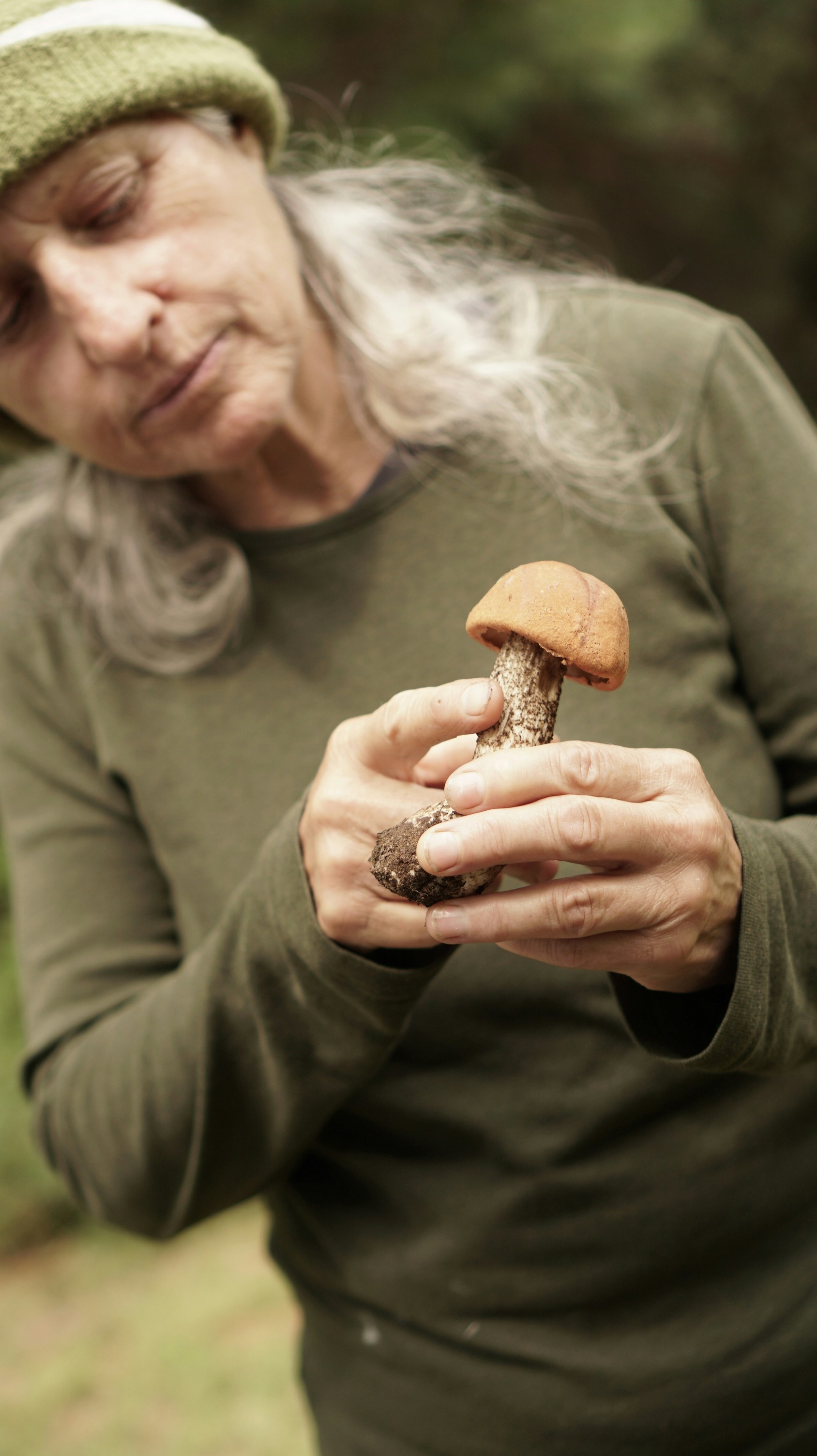 Old Mushroom, Quiet Hands: A Moment in the Woods