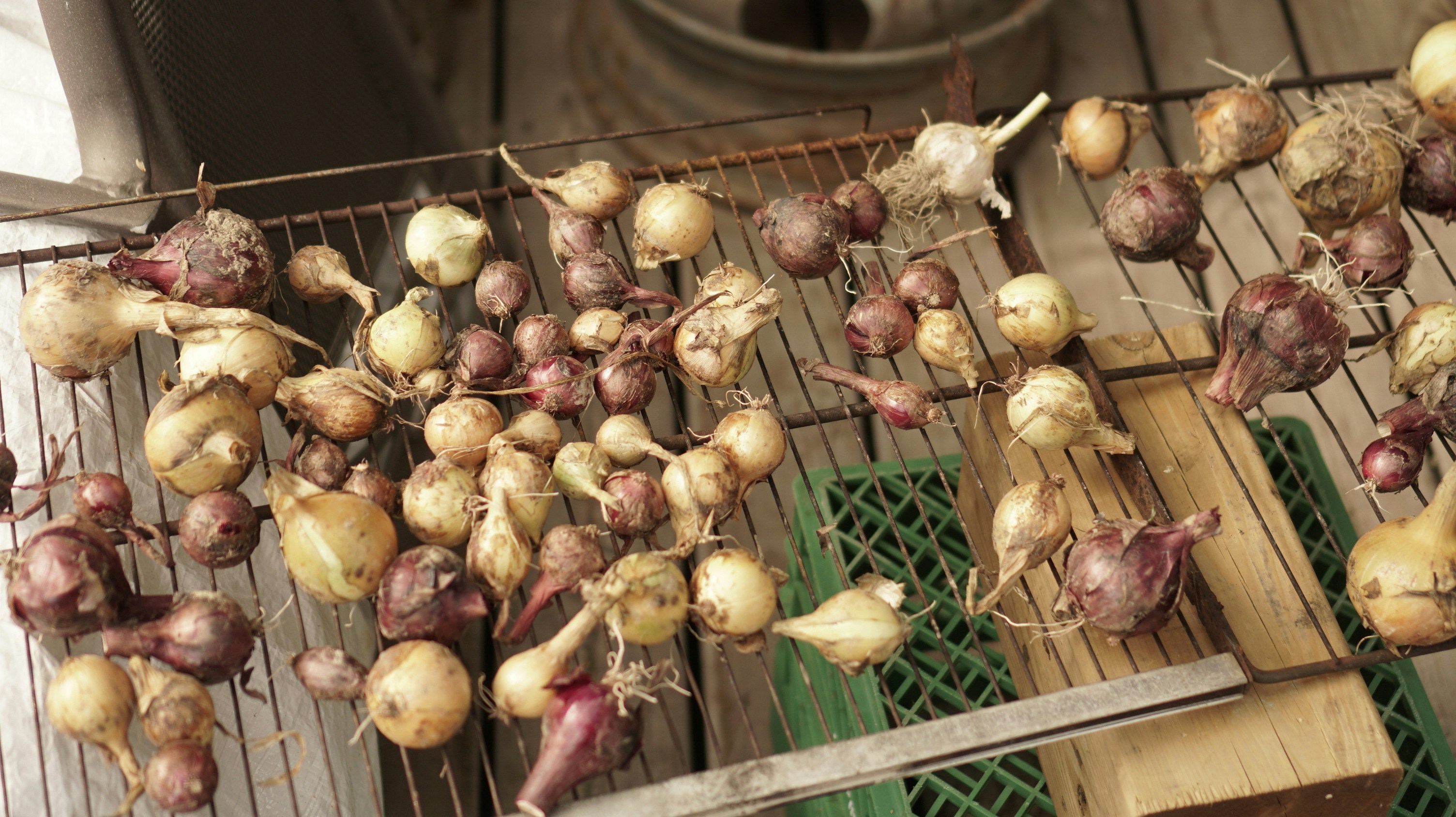 Un bouquet d’ail cuit sur un gril photo – Photo Étagère Gratuite sur ...