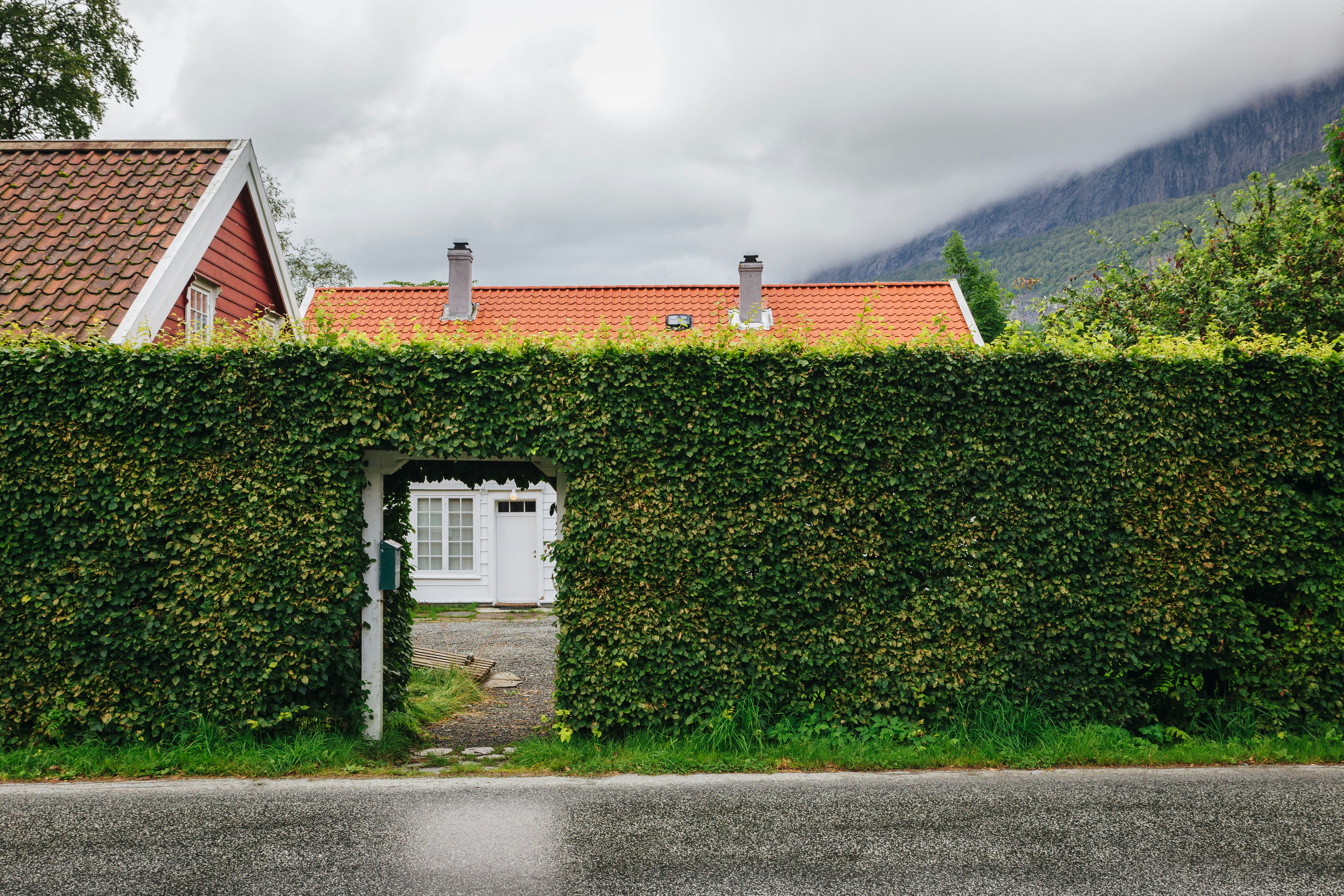 Secret Passage in the Green Wall