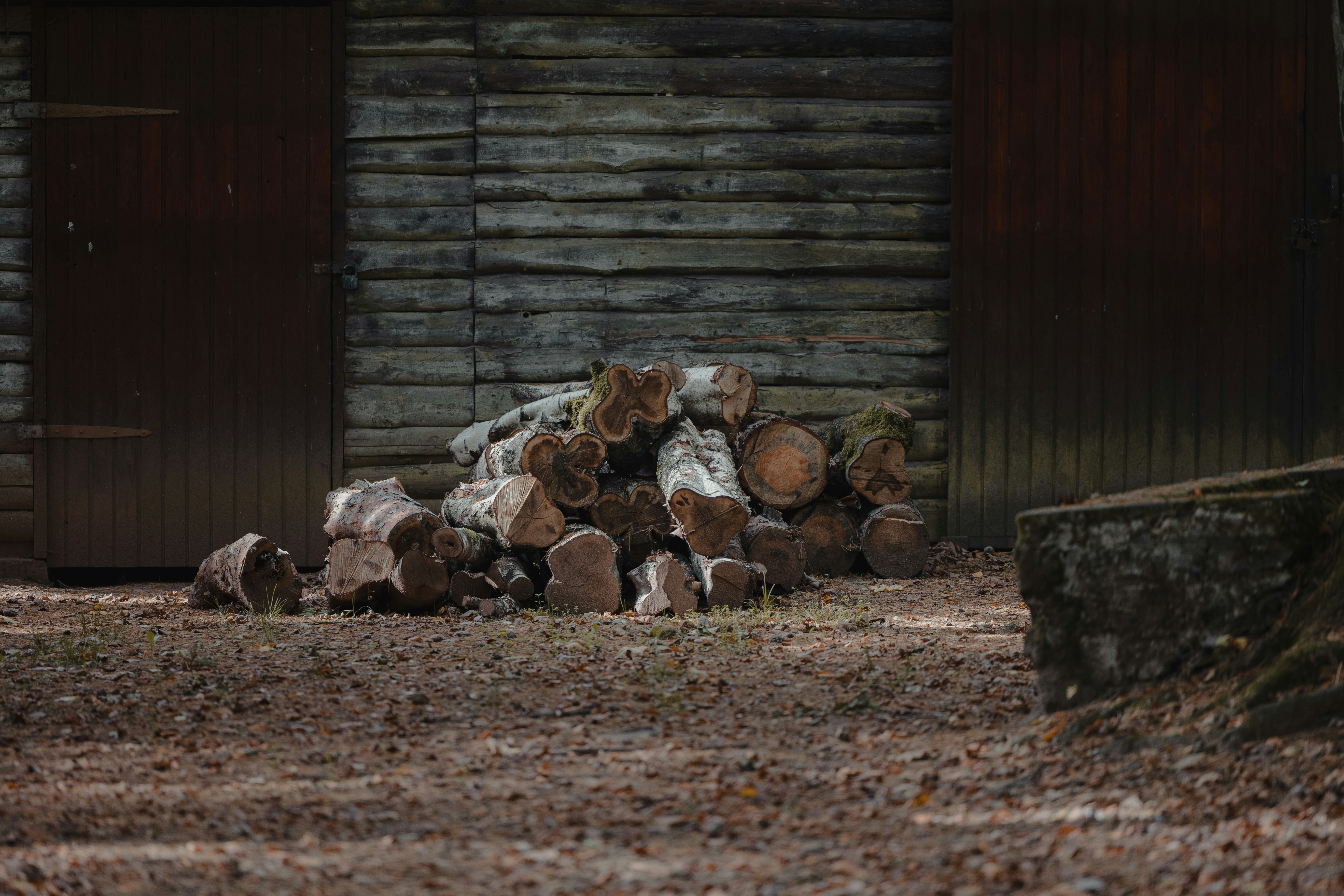 A neatly arranged pile of logs rests on the forest floor near a wooden structure, surrounded by fallen leaves. The earthy tones create a harmonious blend with the natural setting.