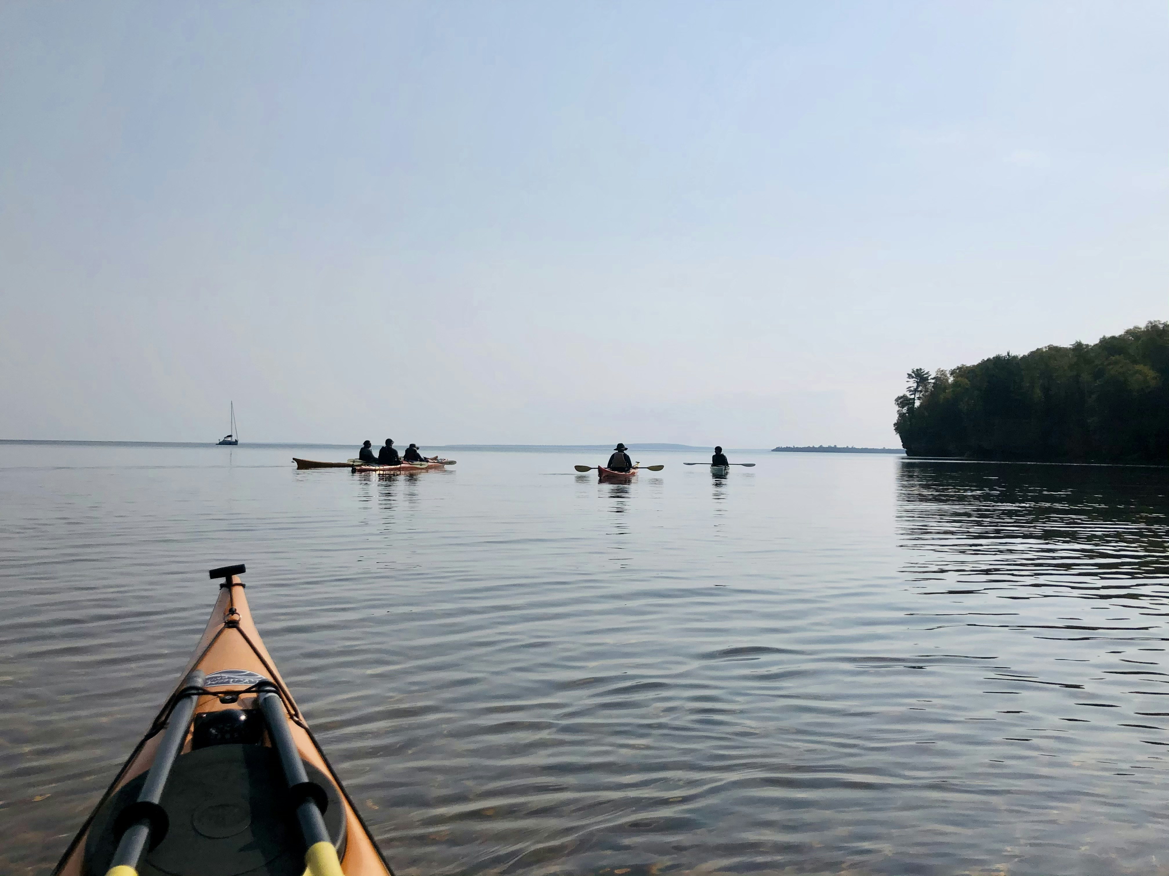 Kayakers gliding across calm waters with a distant sailboat and lush shoreline in view.