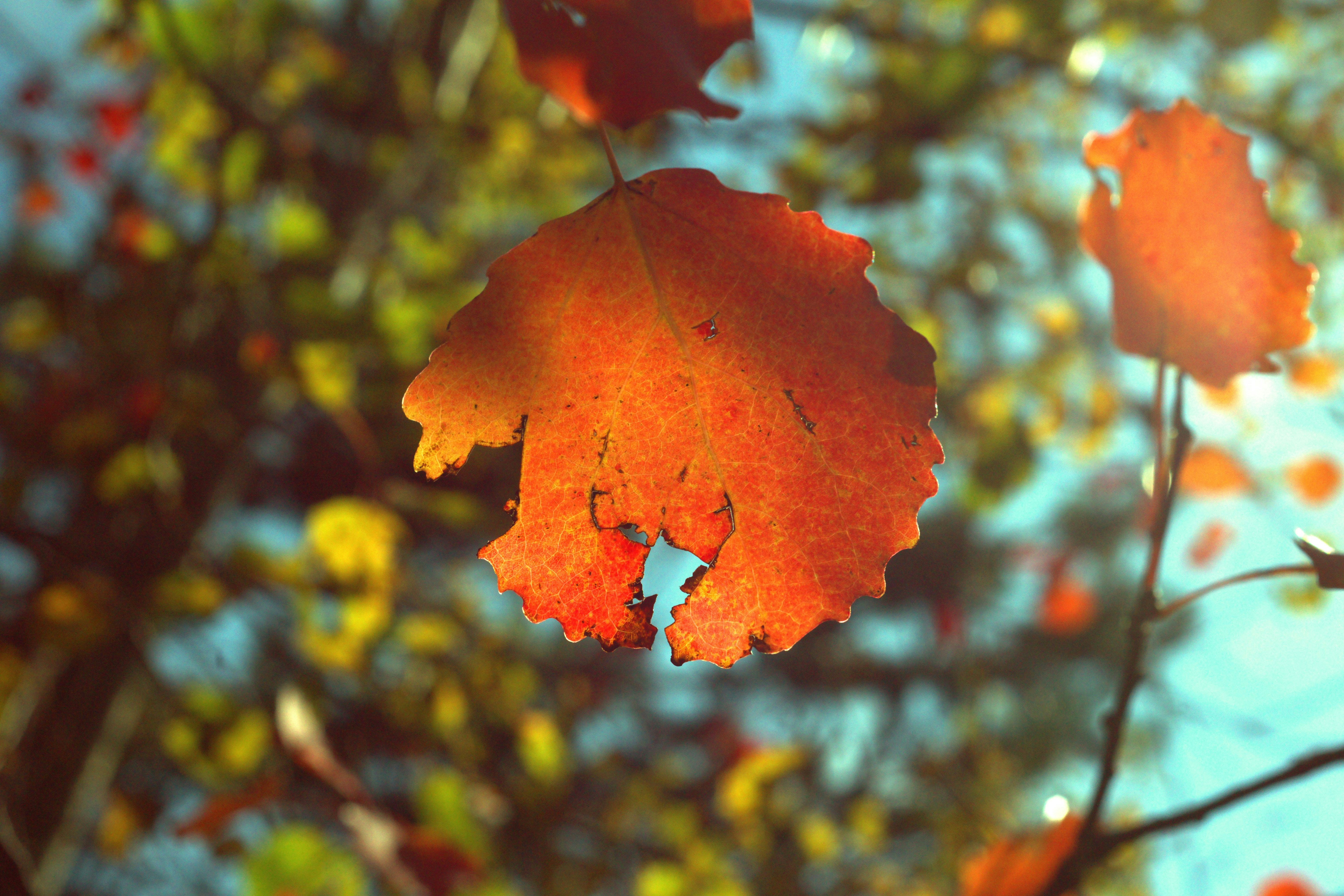 Jozef Guman (@jozef99) | Unsplash Photo Community