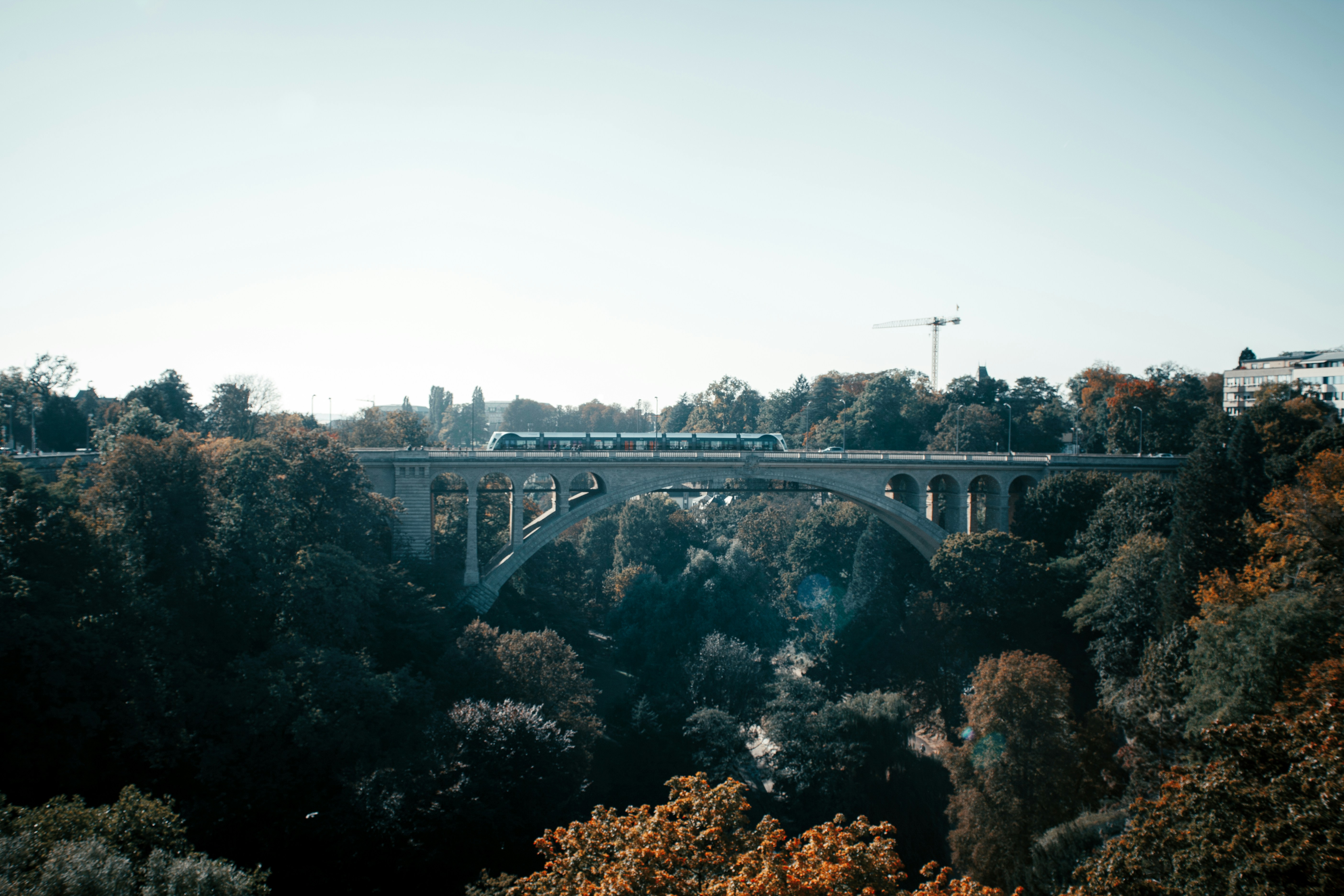 A train traverses a majestic bridge surrounded by vibrant autumn foliage, capturing the essence of seasonal change and urban connectivity.
