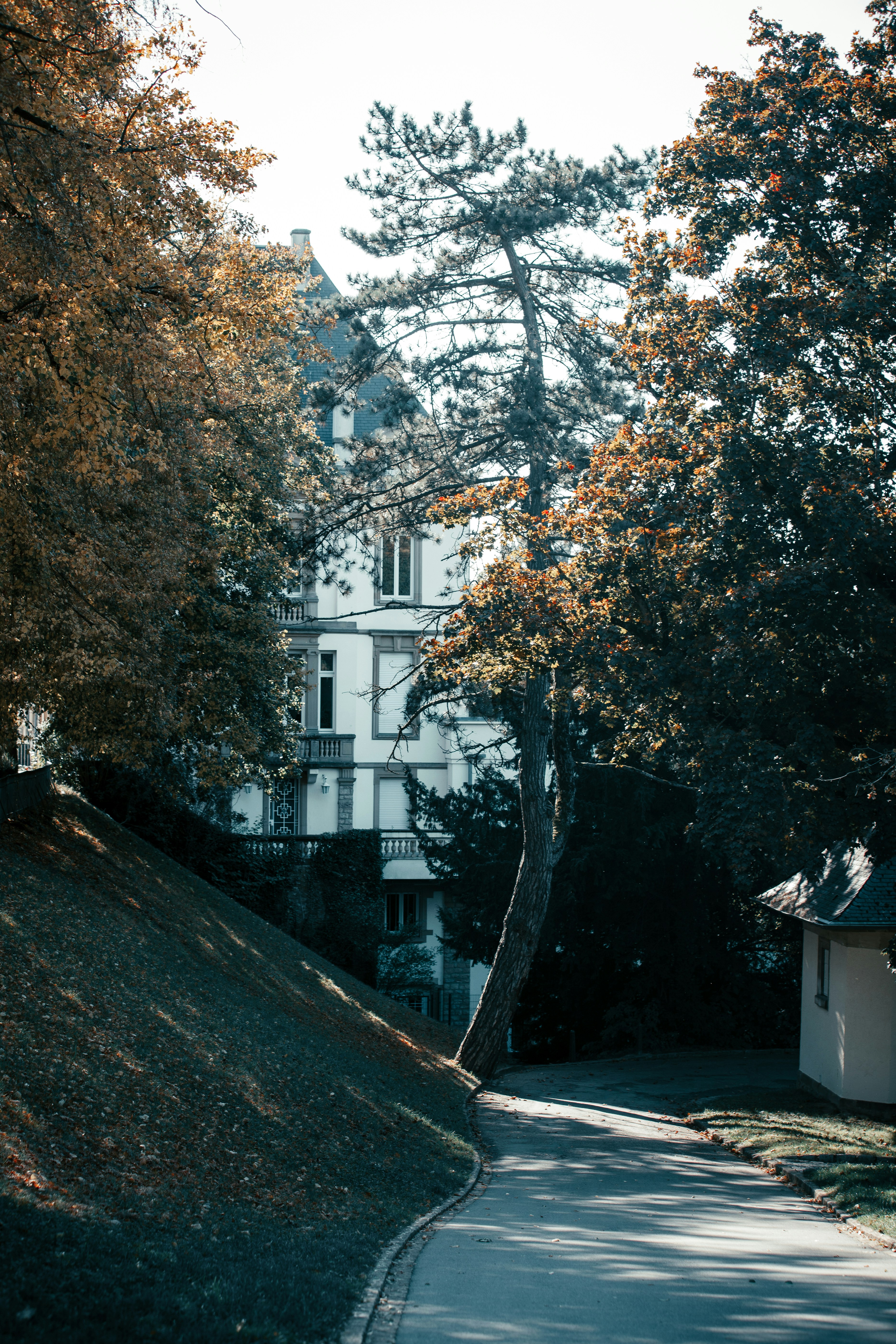 A historic manor partially obscured by vibrant autumn foliage along a winding path. The scene captures the essence of a tranquil fall day.