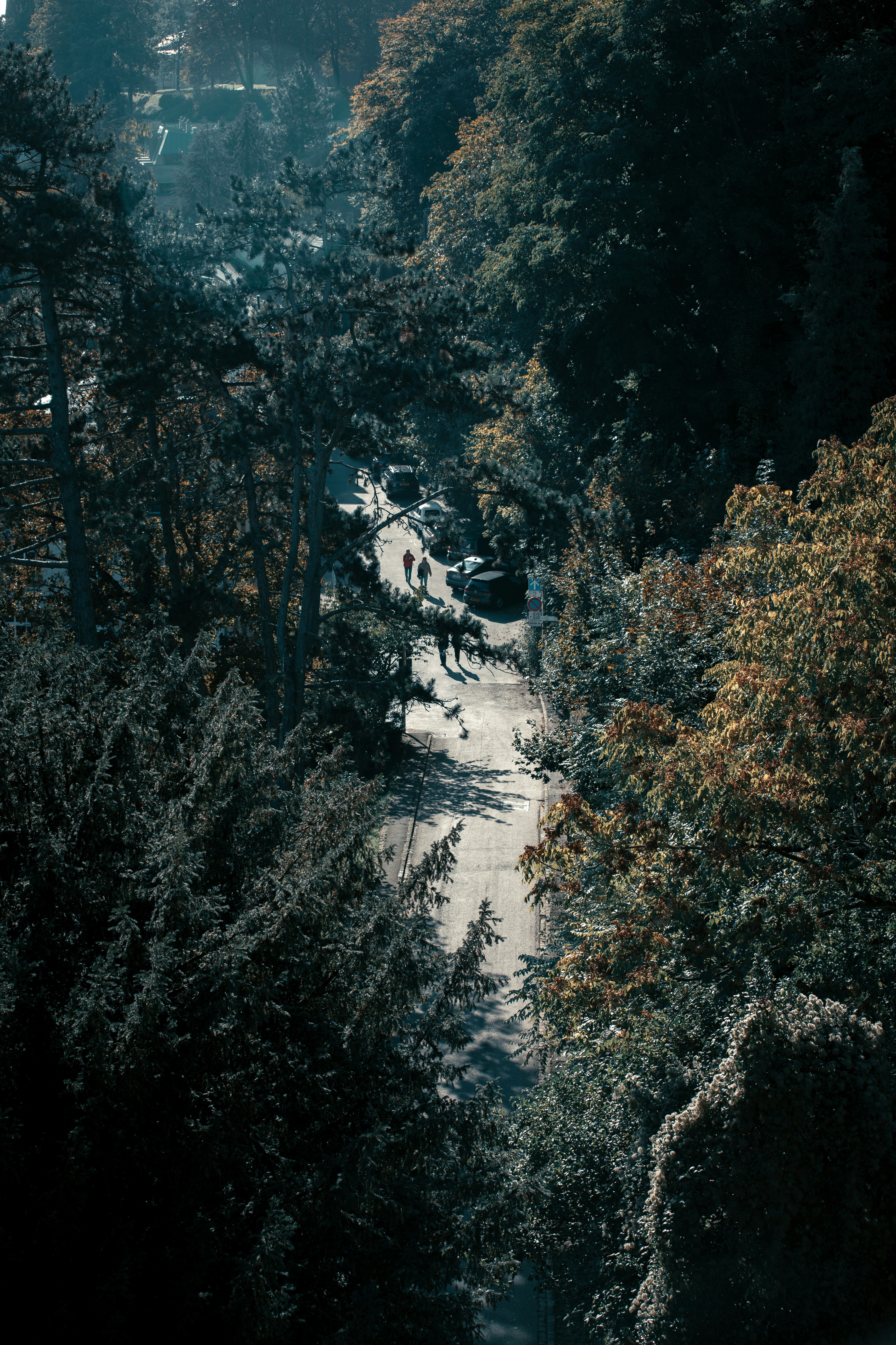 A serene street scene framed by vibrant autumn foliage, where two figures stroll along a winding path. The interplay of light and shadow enhances the tranquil atmosphere.