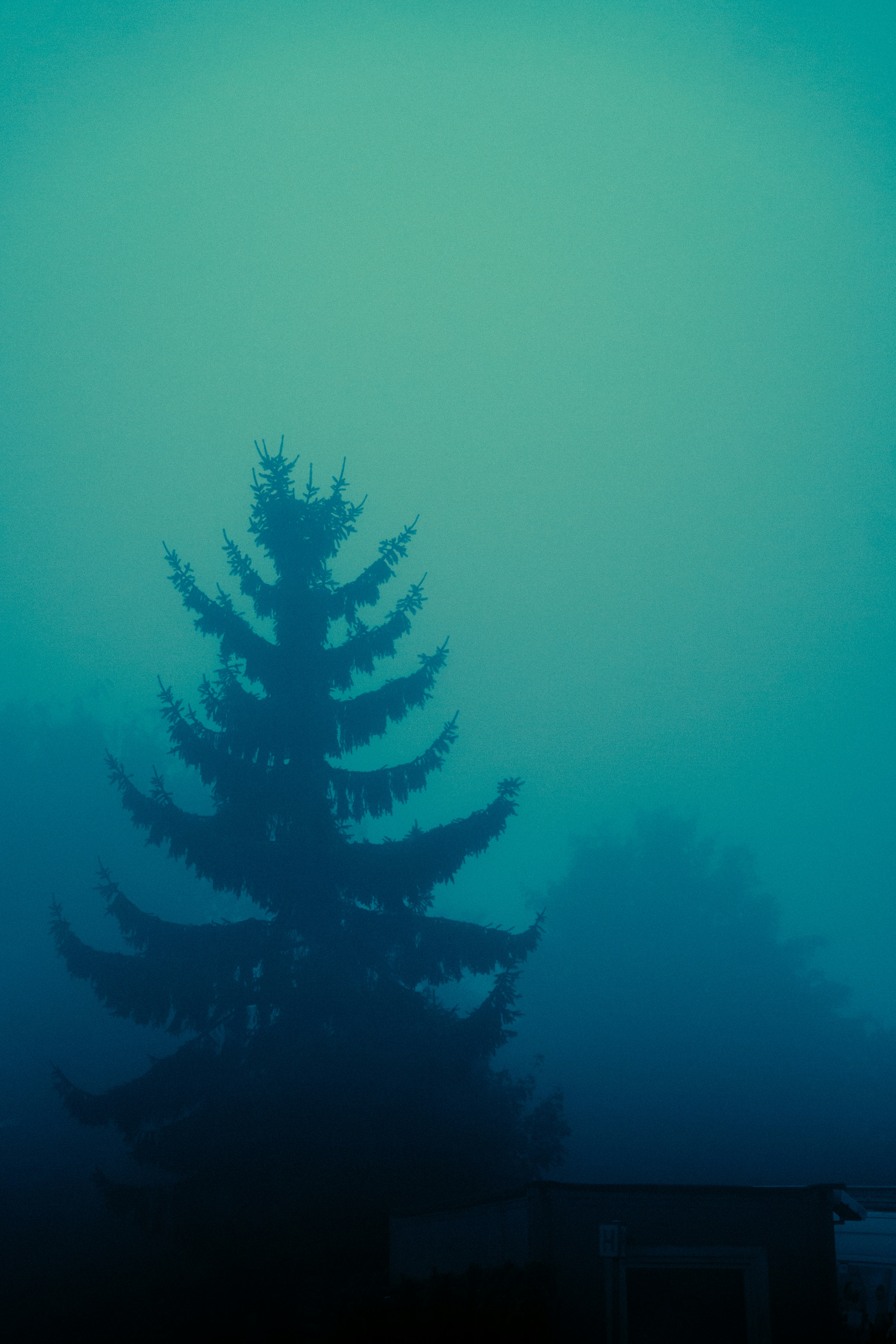 Blue Mist Pictures | Download Free Images on Unsplash