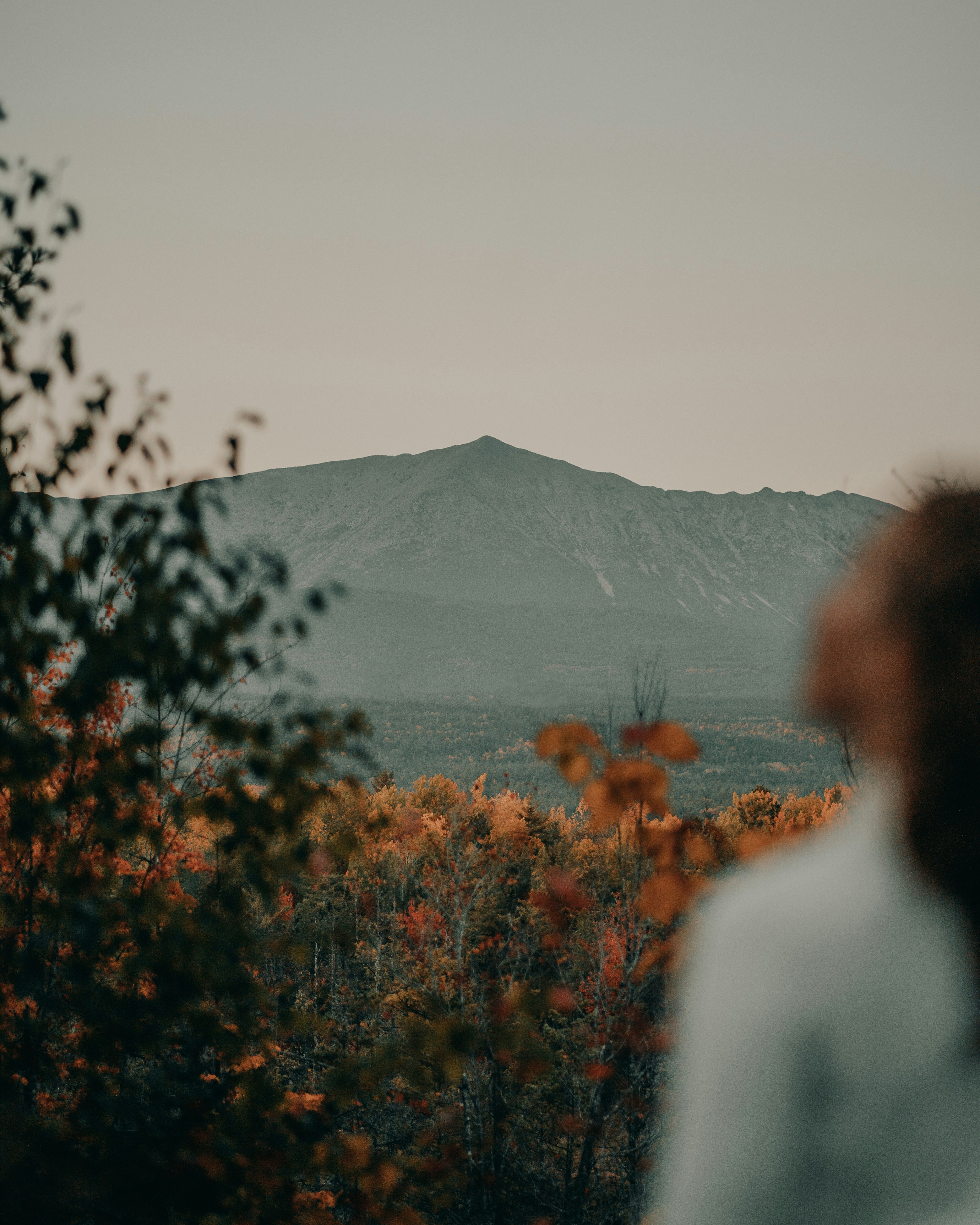 A distant mountain looms over a vibrant autumn landscape, framed by foliage in warm hues. The soft focus adds depth to the serene scene.