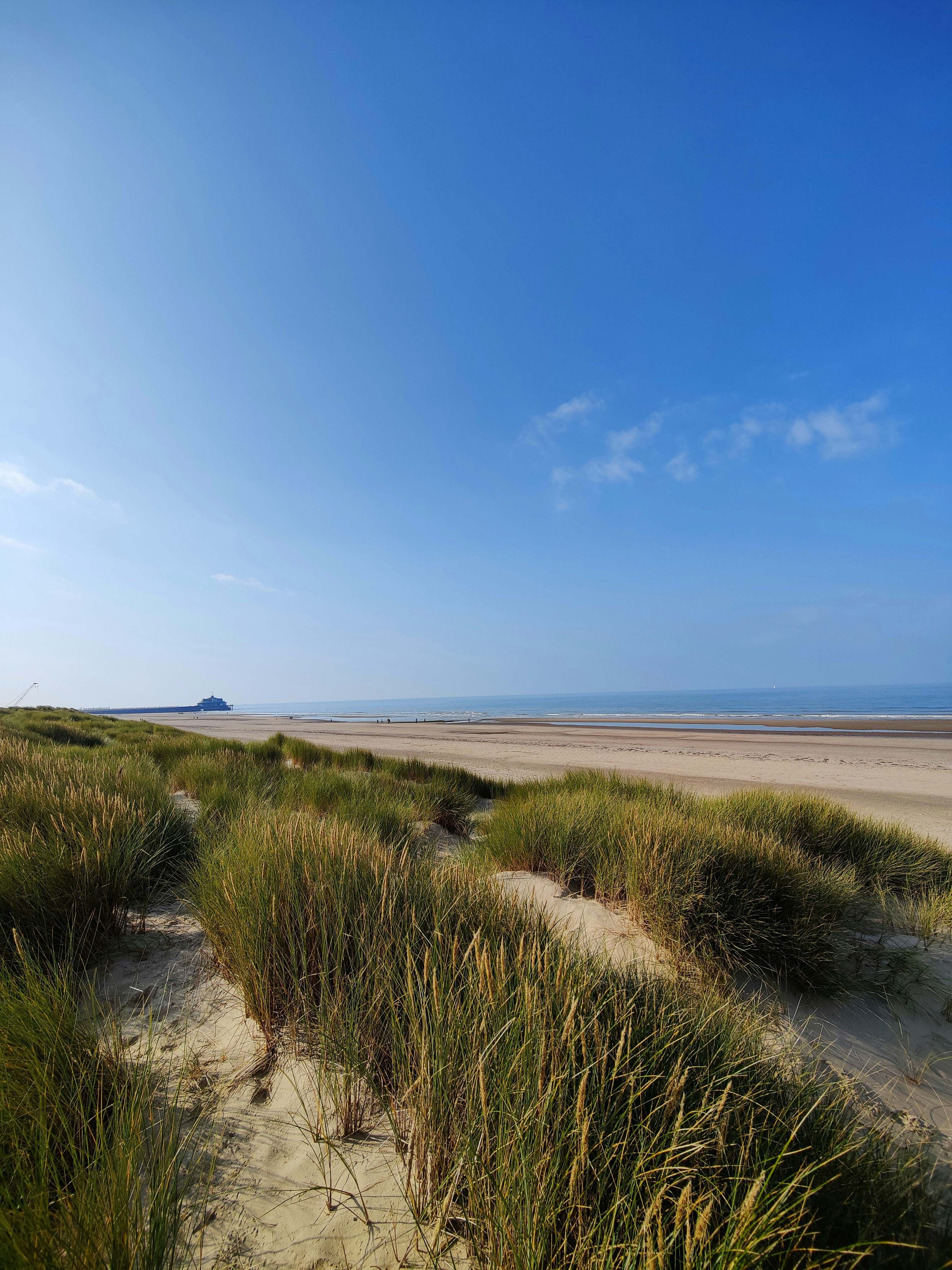 Sandy dunes dotted with tall beach grasses recede toward a calm sea under a bright blue sky.