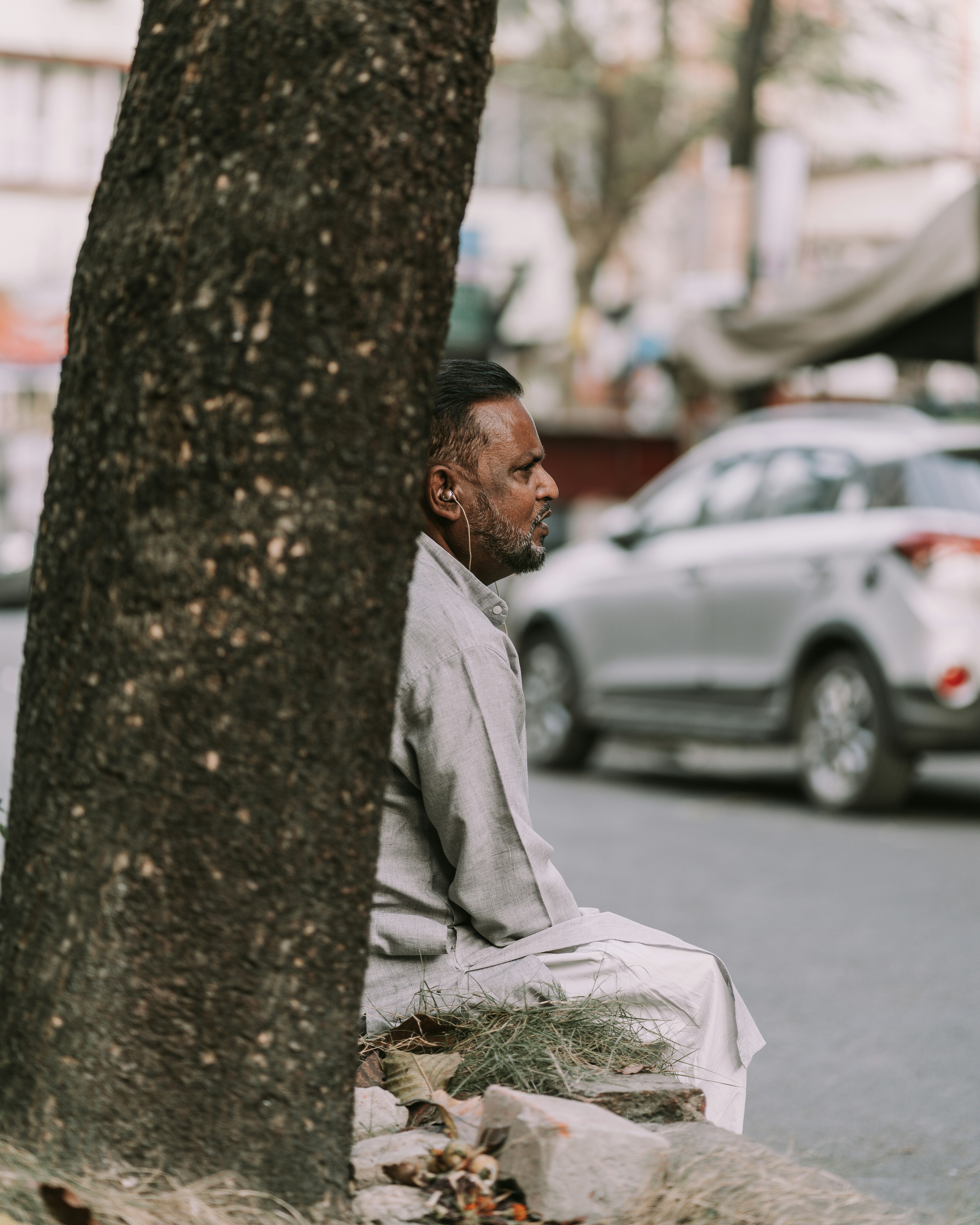 Against the City Street, a Quiet Moment Near the Bark