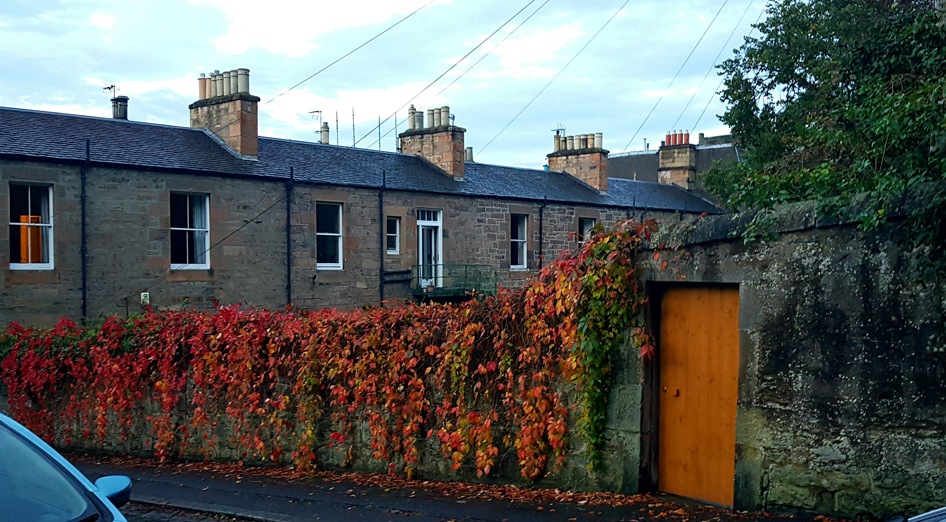 A brick building with ivy growing on it's side photo – Free Fall colors ...