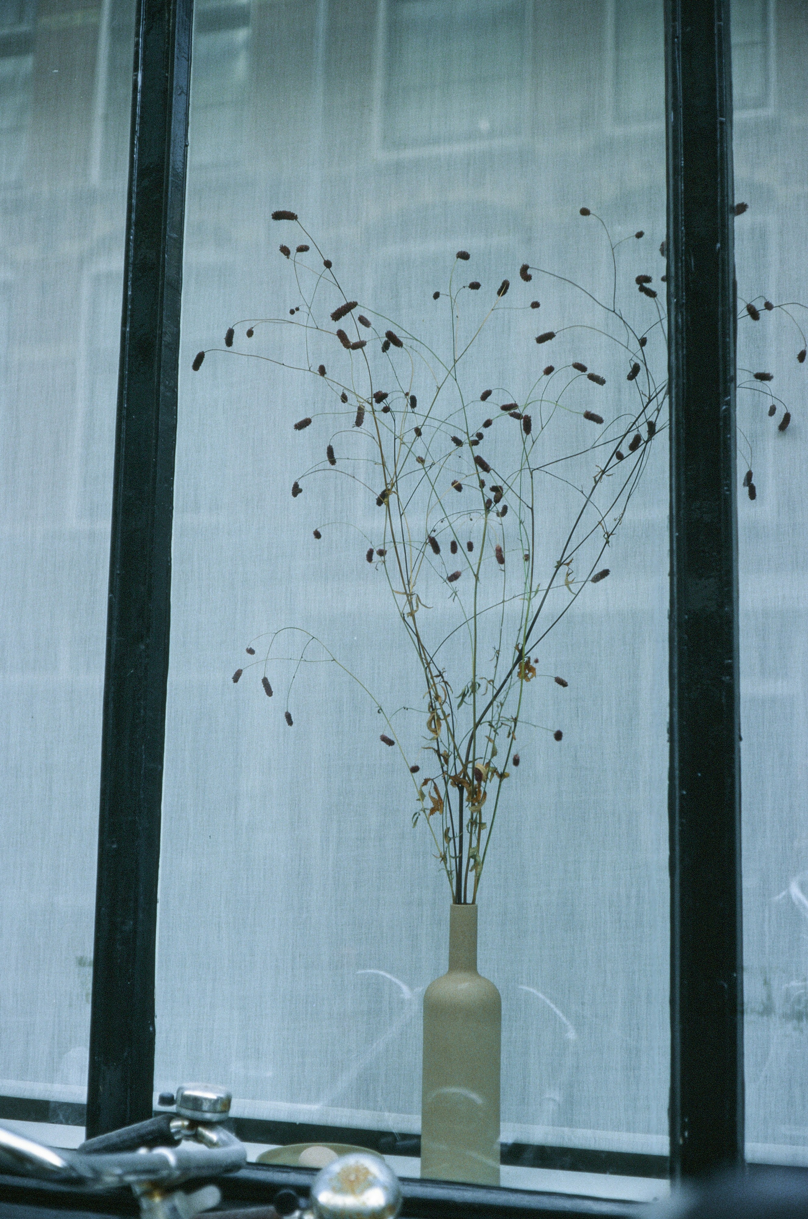 Delicate dried branches with seed pods arranged in a minimalist vase, framed by a sheer curtain and window panes.