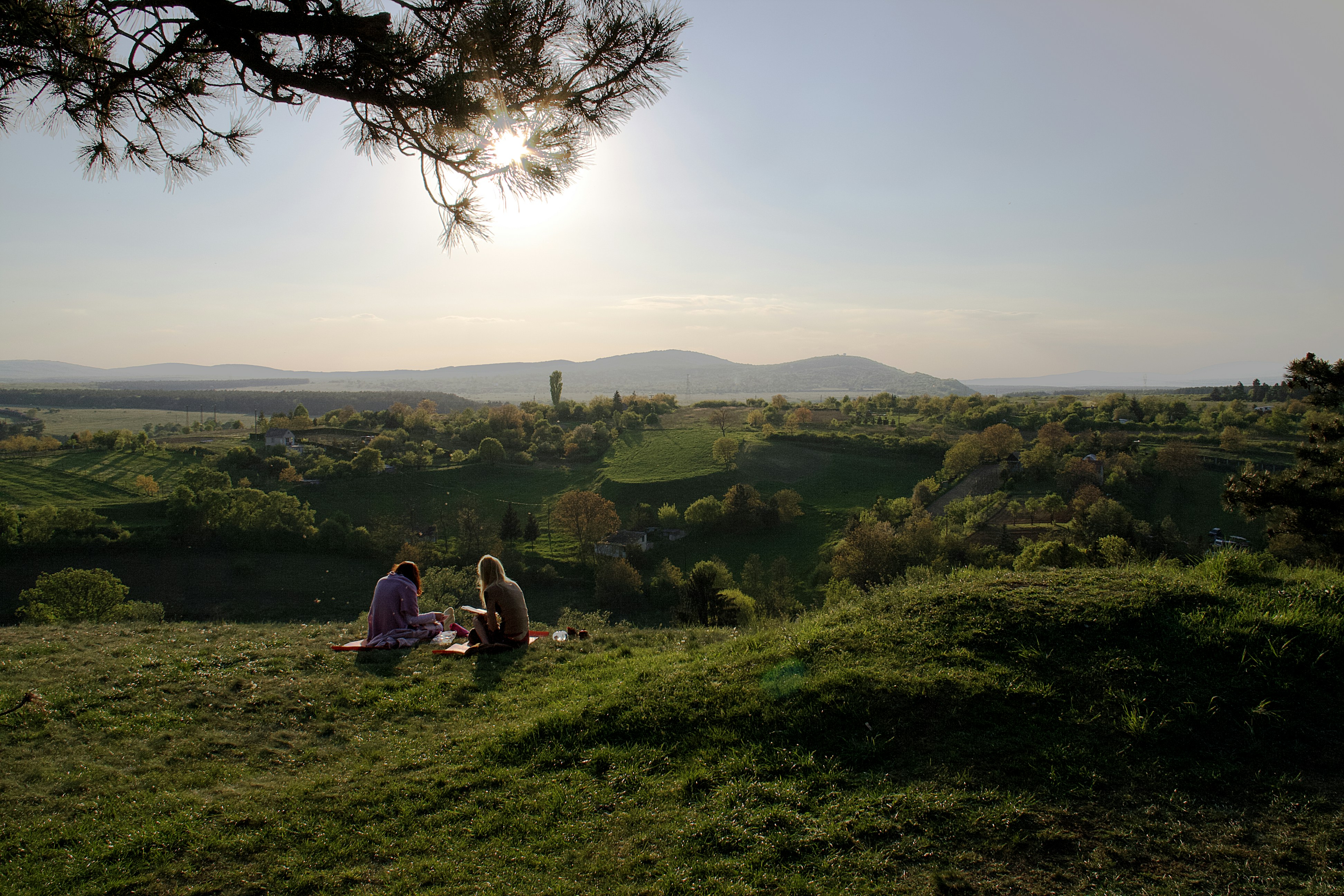 a couple of people sitting on top of a lush green hillside