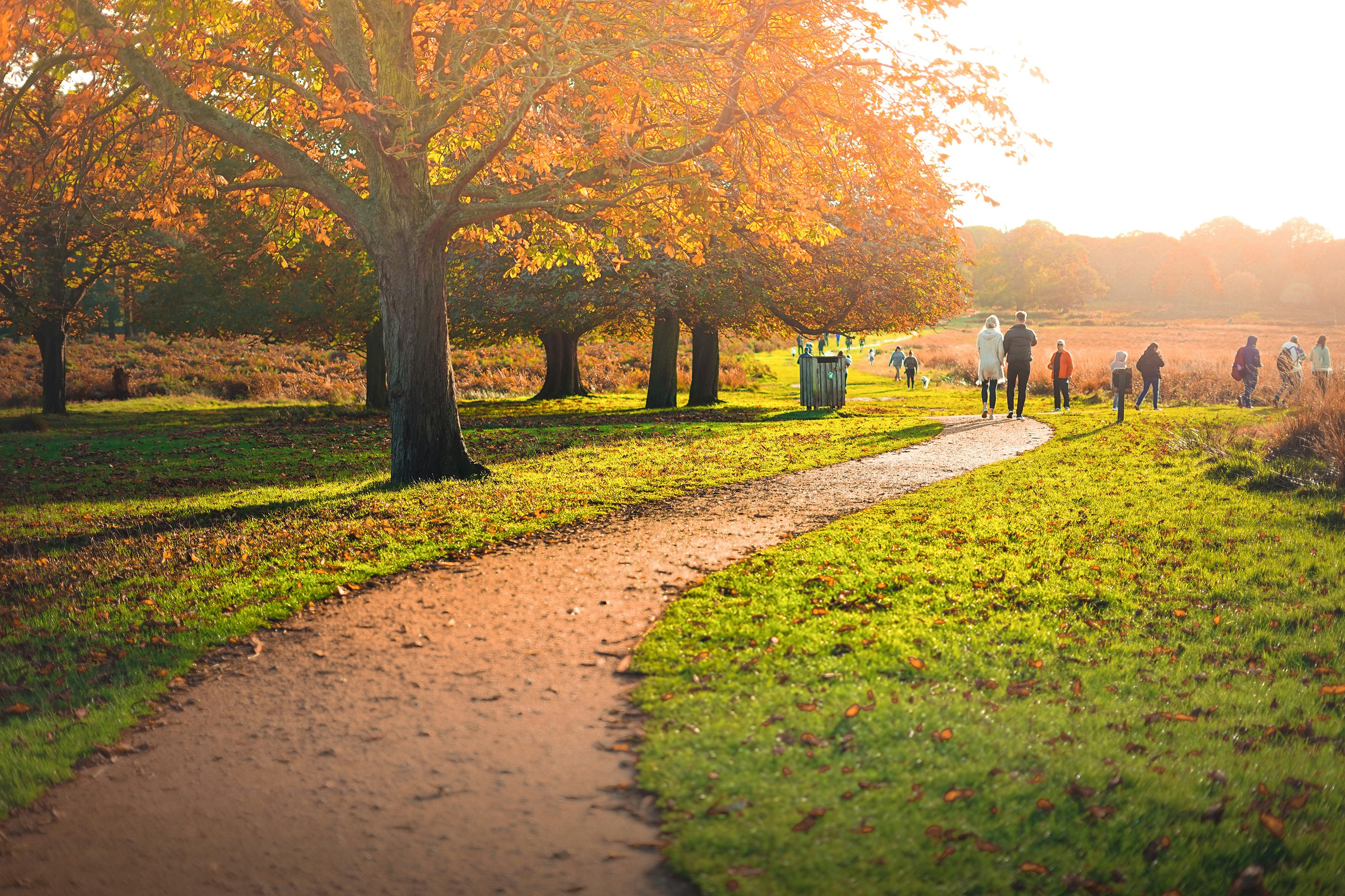 A group of people walking down a path in a park photo – Free London ...