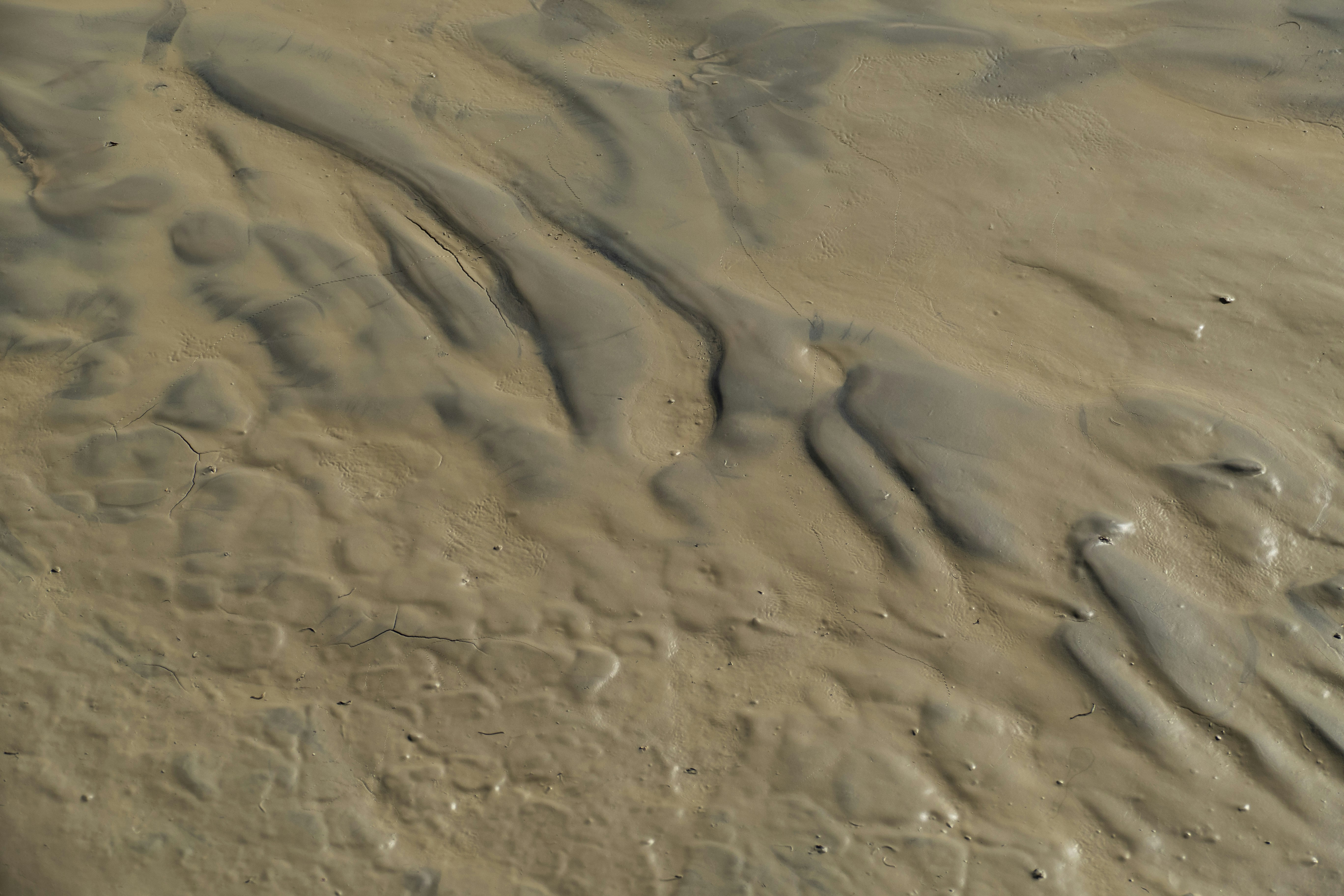 Mud Texture Pictures | Download Free Images on Unsplash