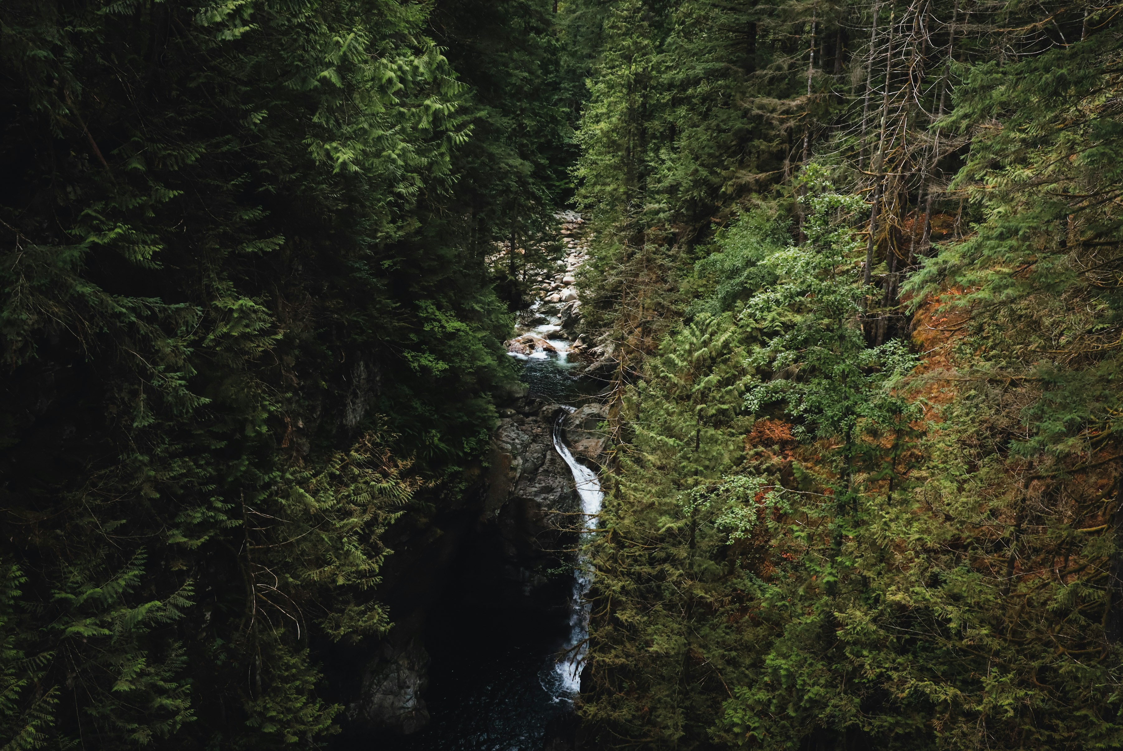Waterfall cascading through lush forest gorge surrounded by dense trees.