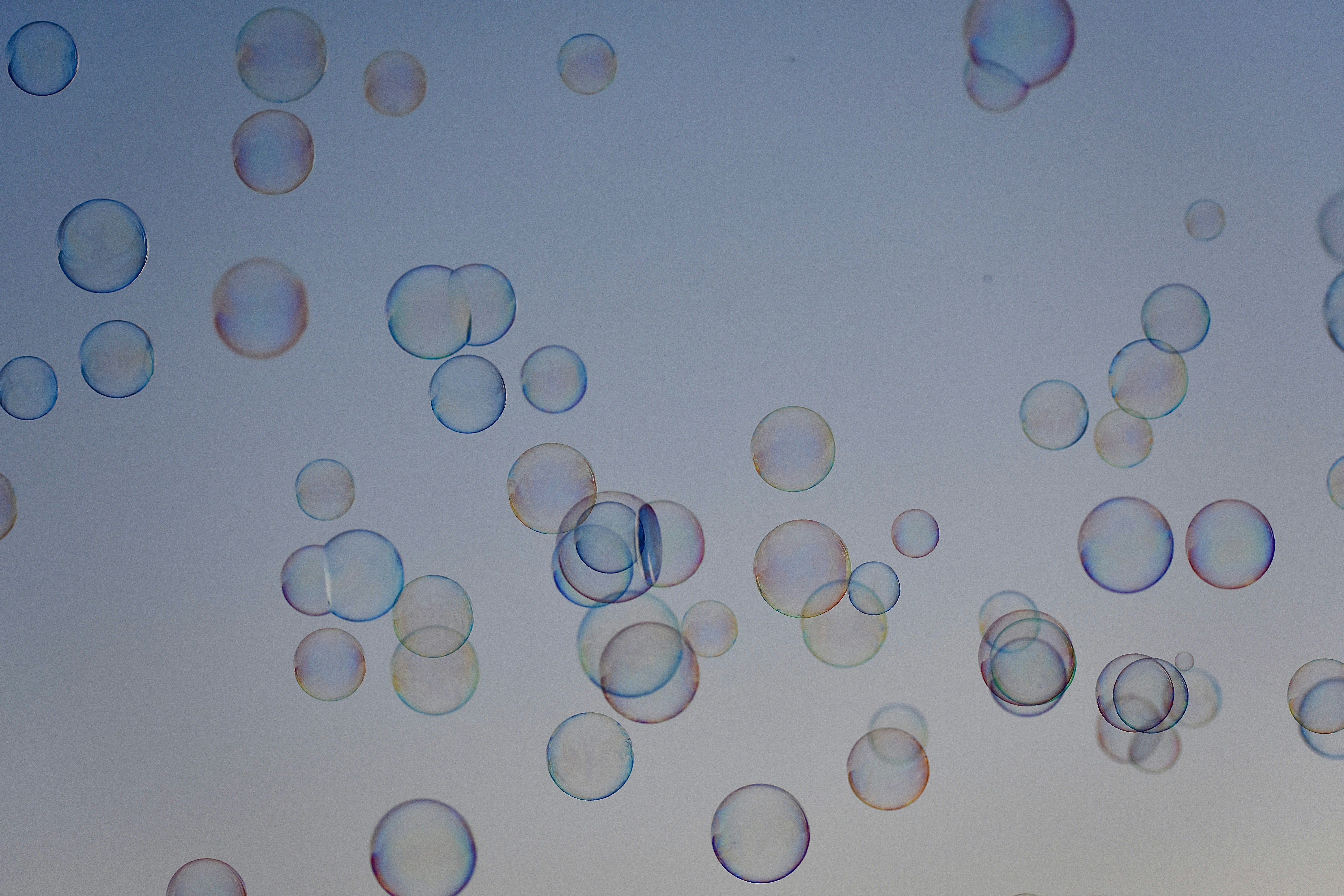 1000+ Bubbles Background Pictures | Download Free Images on Unsplash