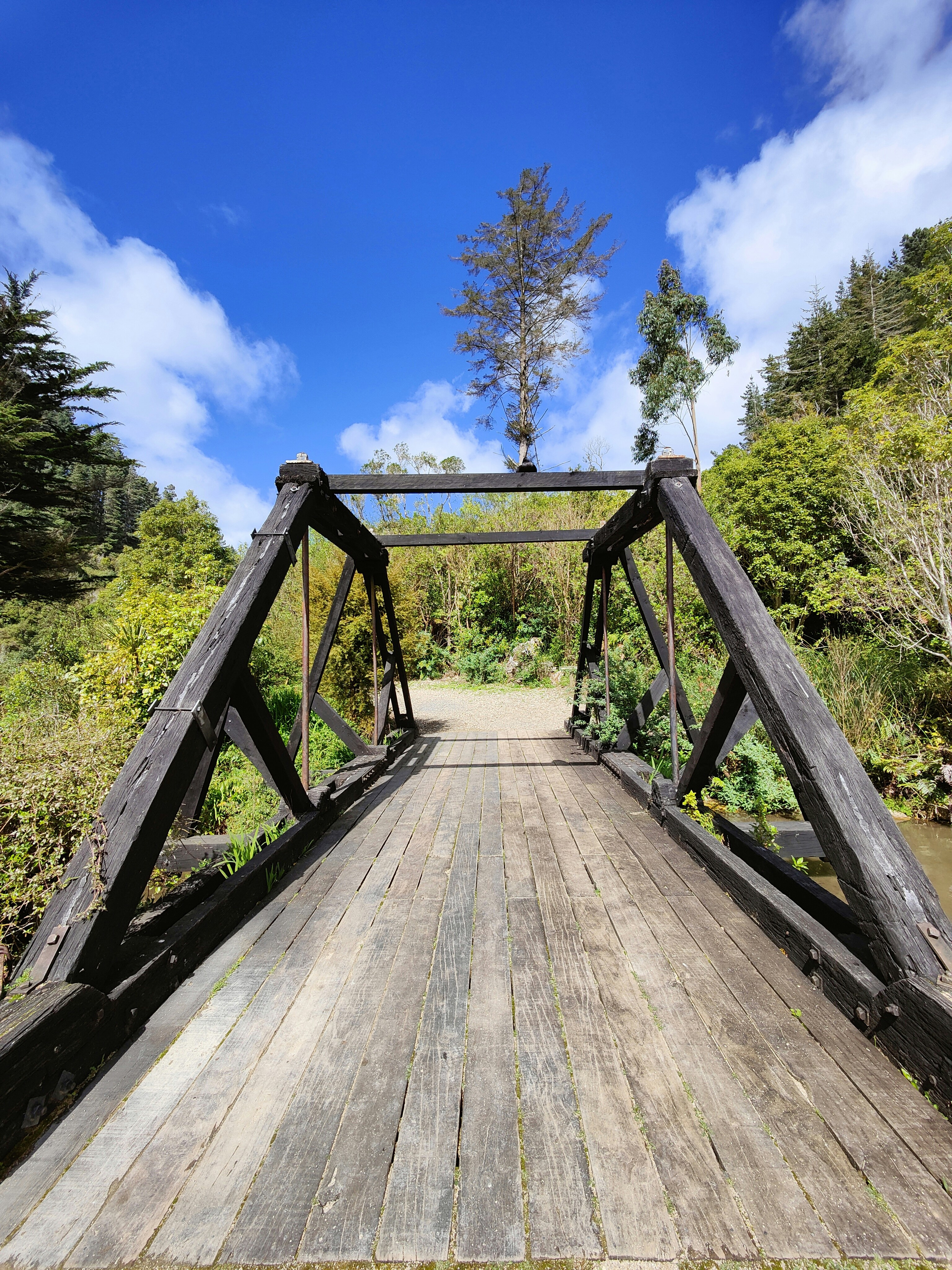 Wooden bridge leading into a lush forest under a bright blue sky; a rustic structure framed by trees and greenery.