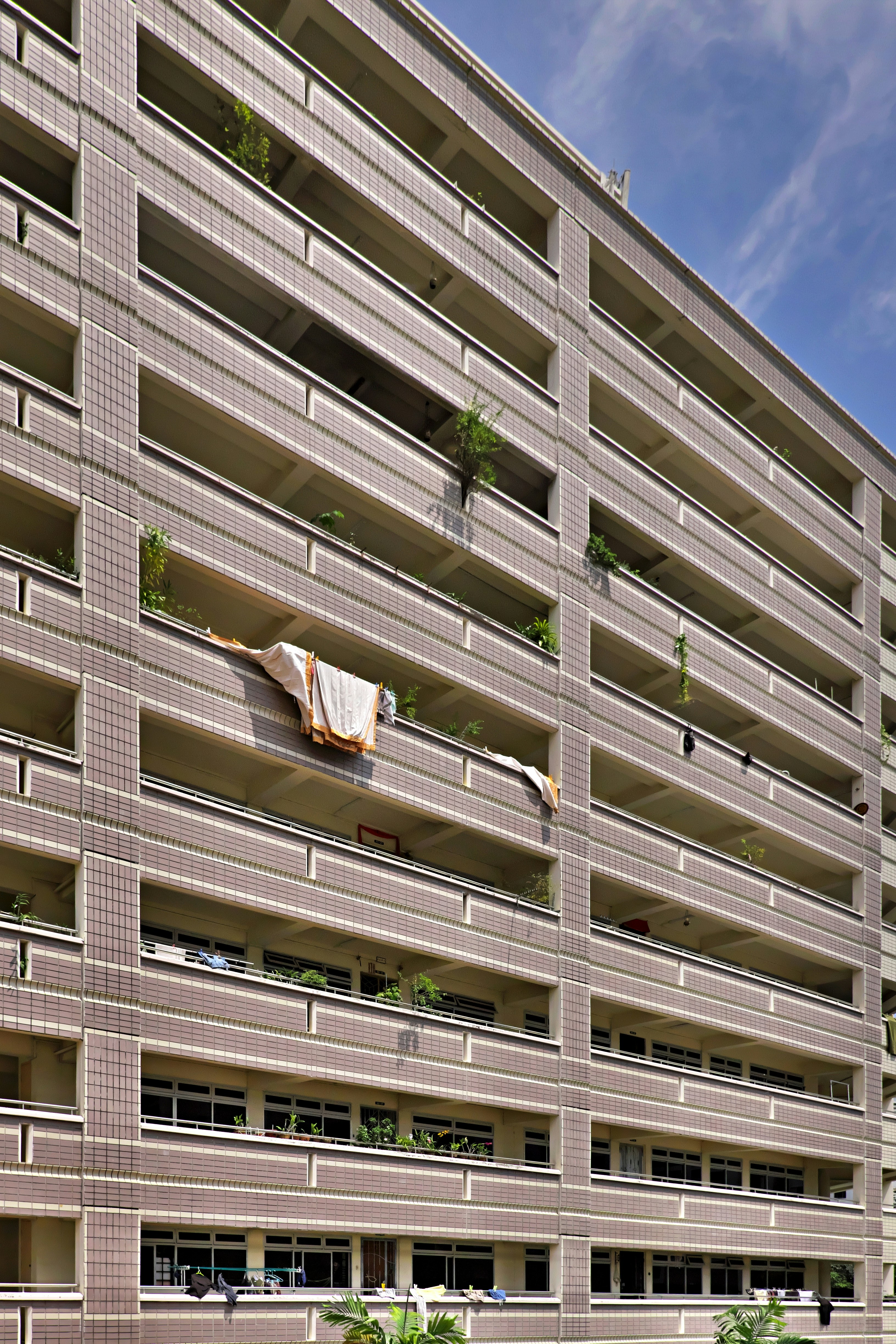 Laundry on the Grid: A Concrete Facade Portrait