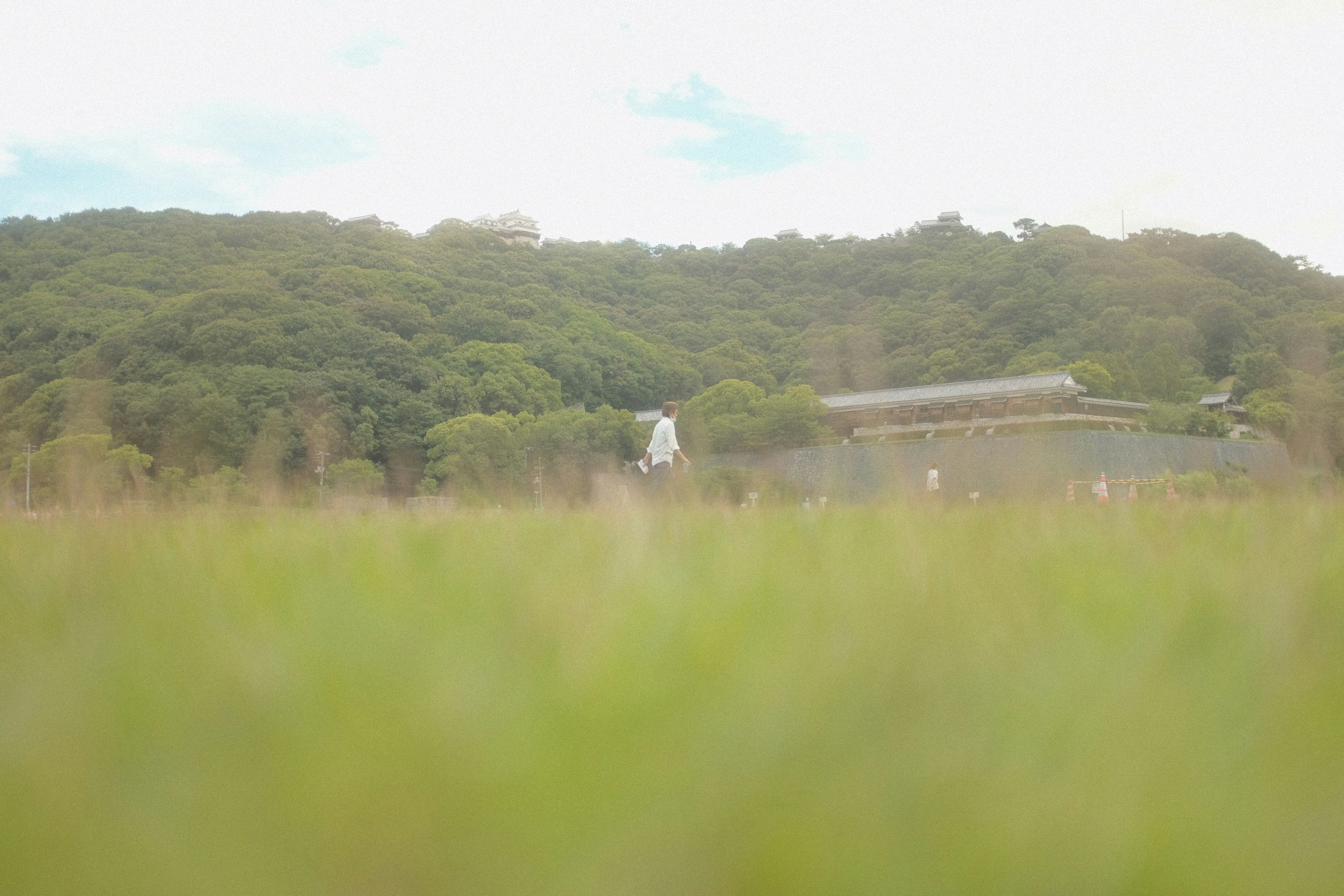 Une photo floue d’une personne dans un champ photo – Photo La nature ...