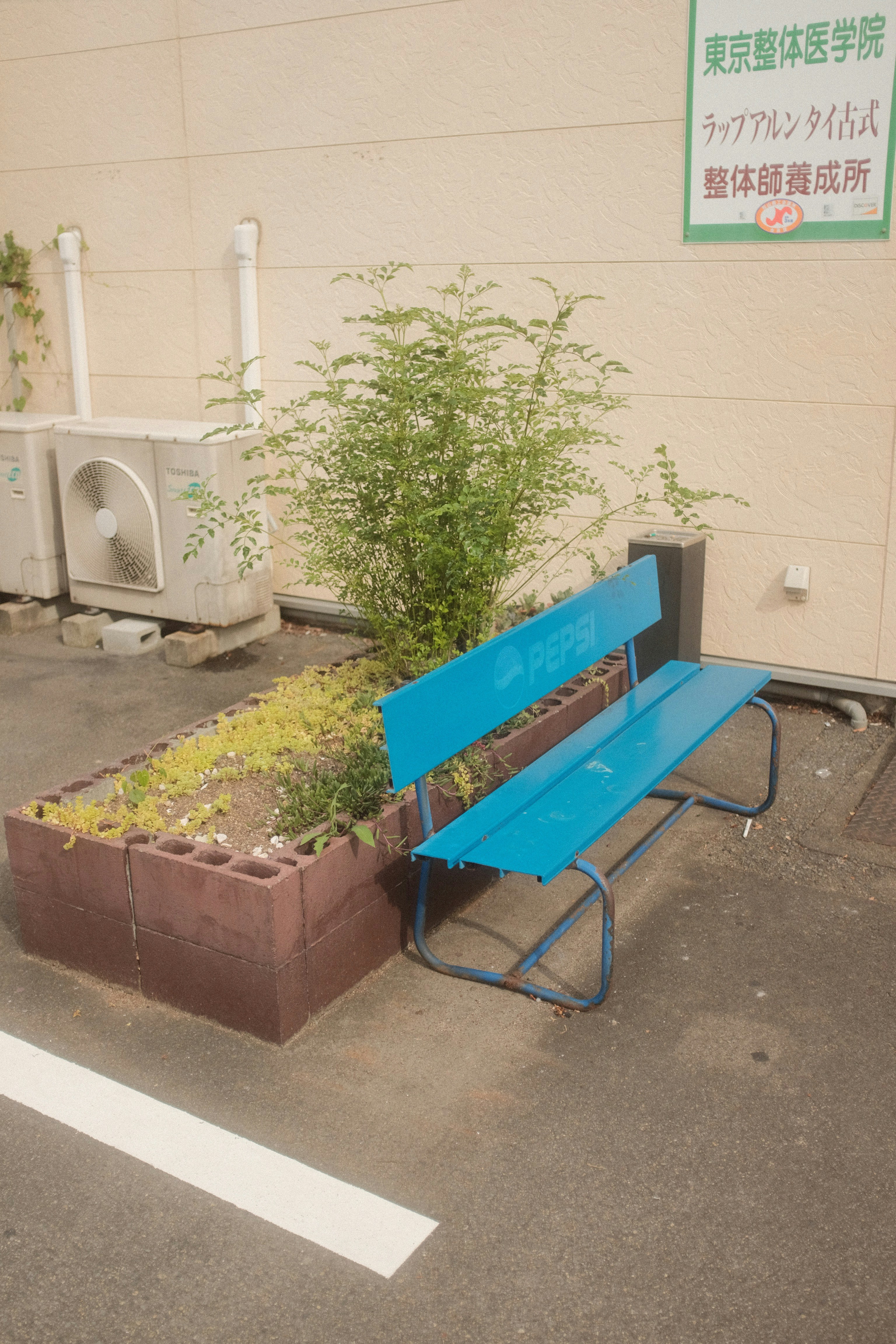 a blue bench sitting next to a planter filled with plants
