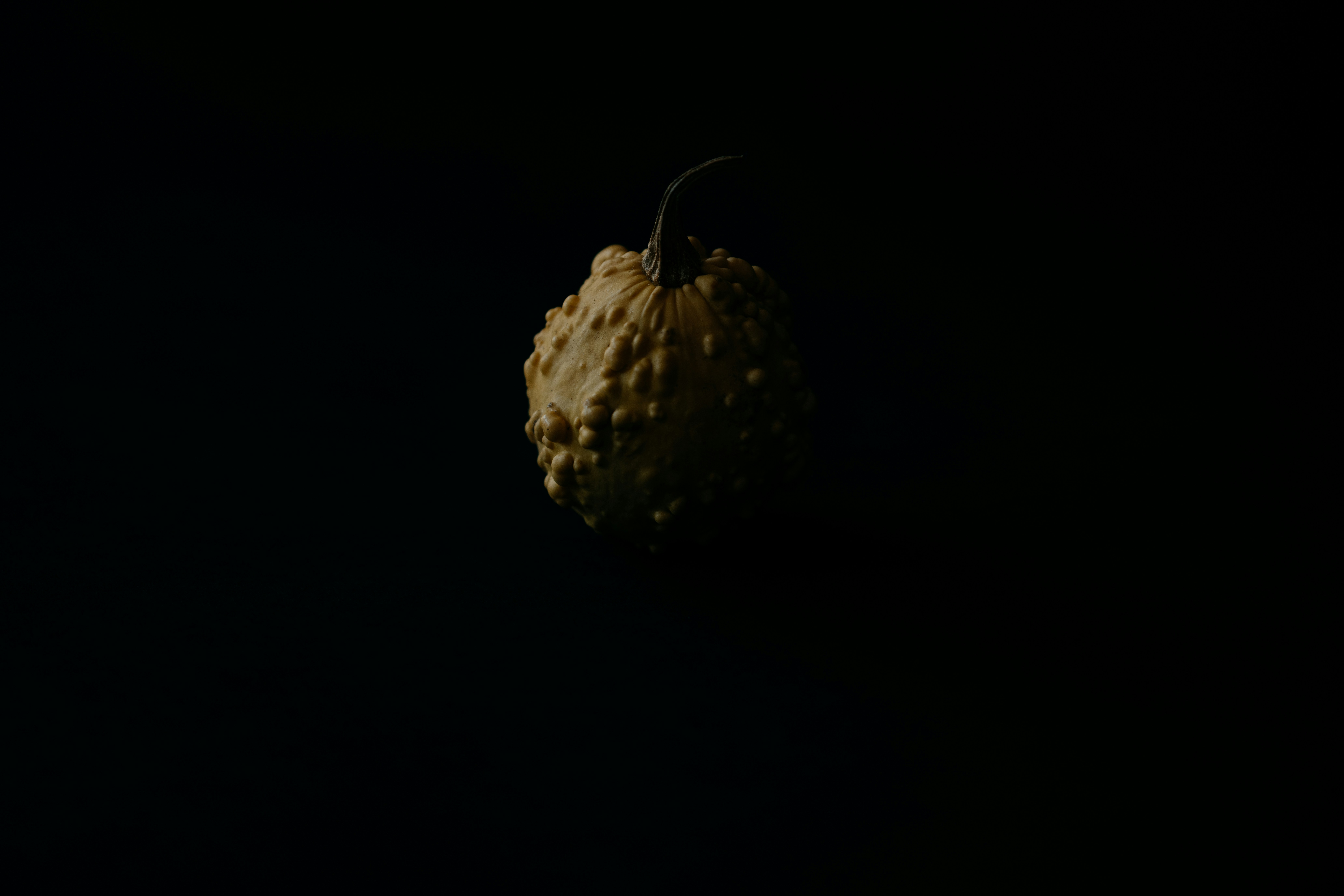 A close up of a fruit on a black background photo – Free Autumn Image ...