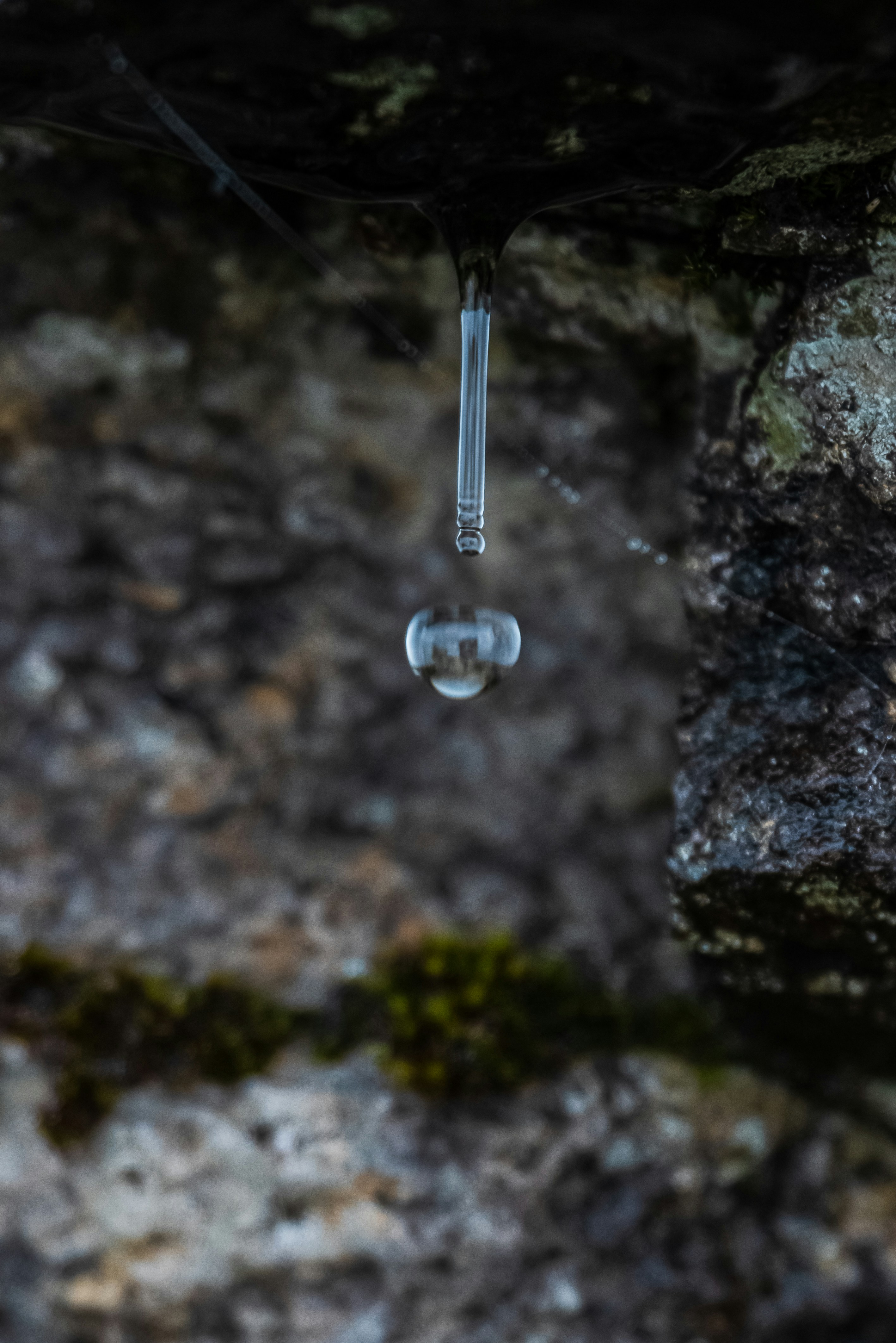 Naturalistic | 18 best free naturalistic, outdoor, italy and lake ...