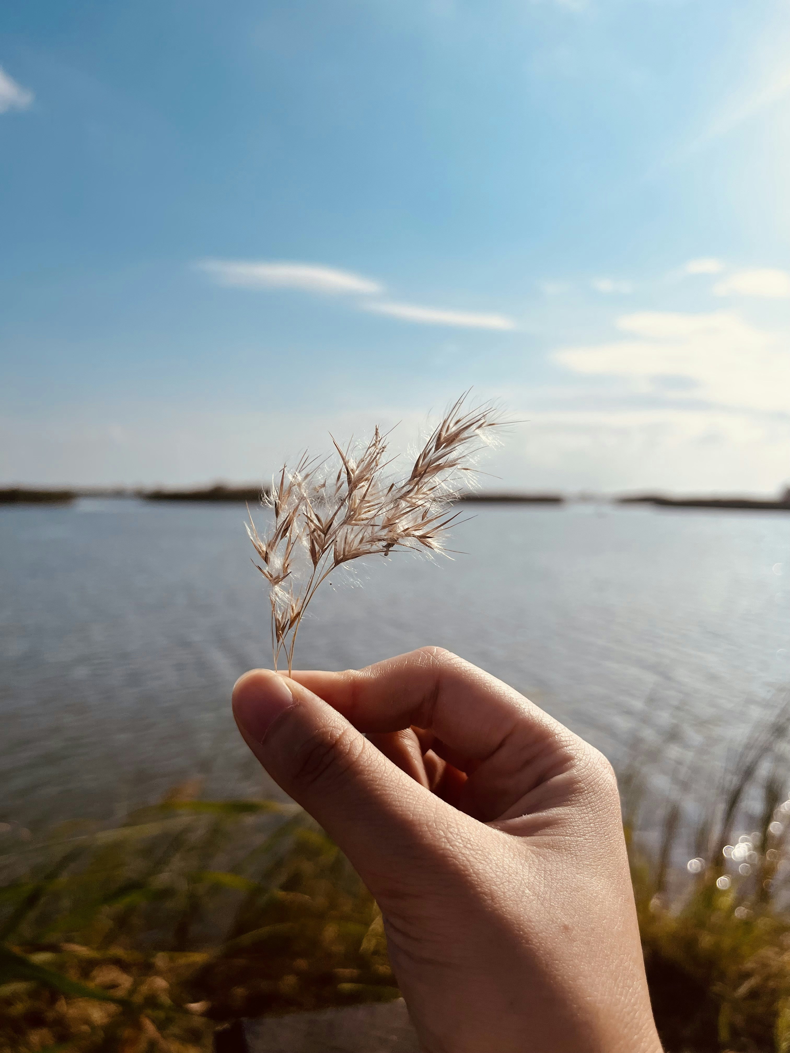 Autumn is in my hand.