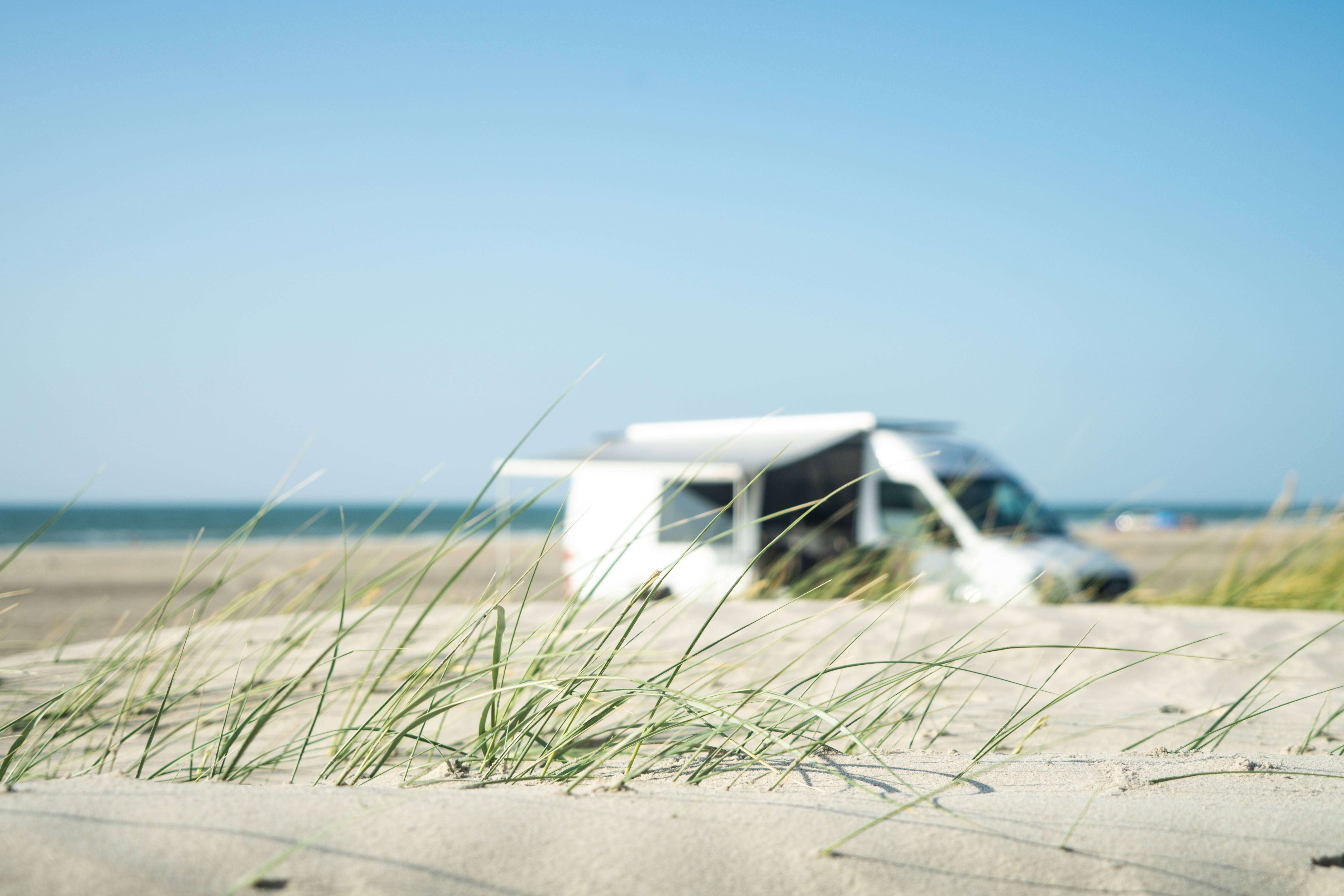 A camper van nestled among beach grass with the ocean in the background, evoking a sense of adventure and tranquility.