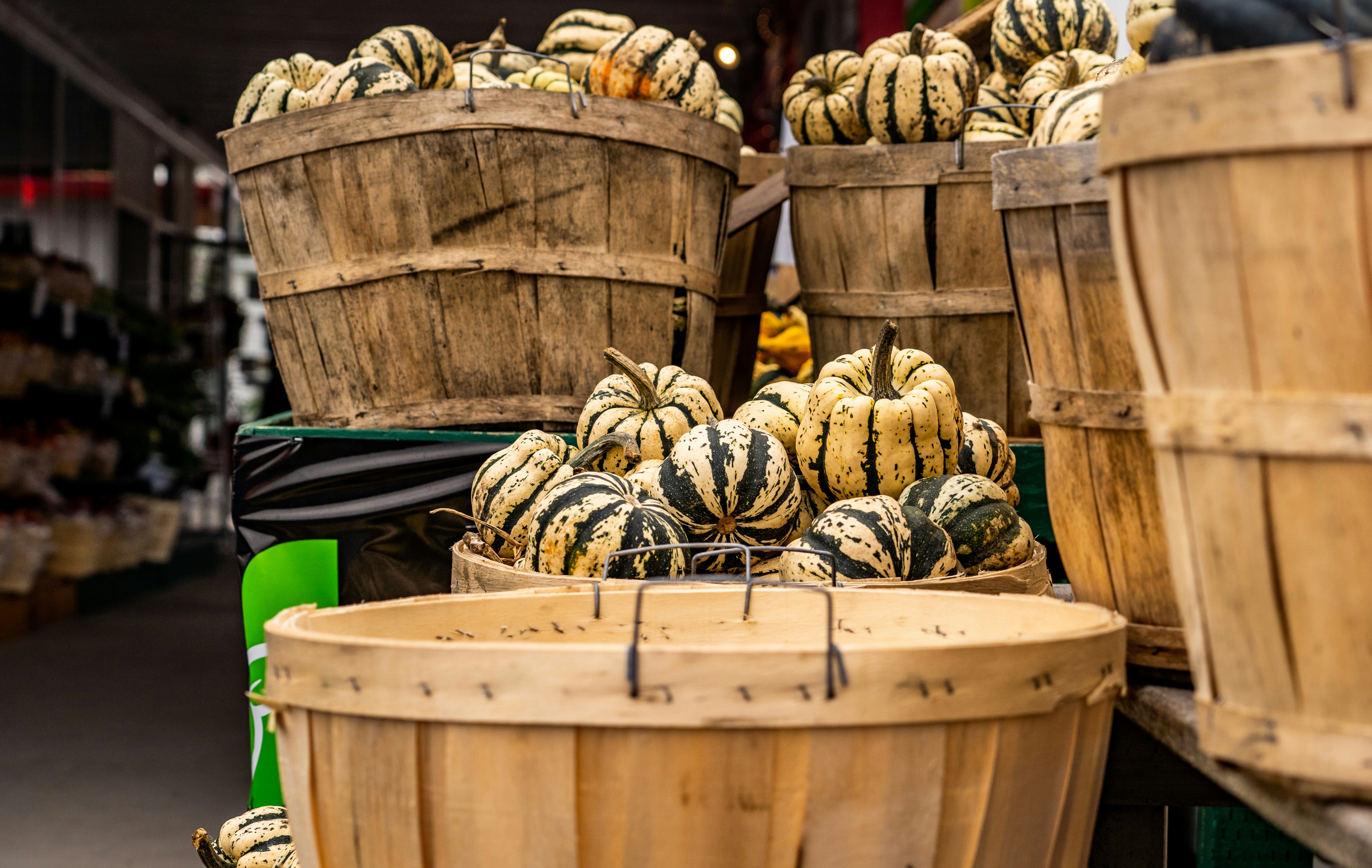 Harvest Harmony: A Bounty of Striped Gourds