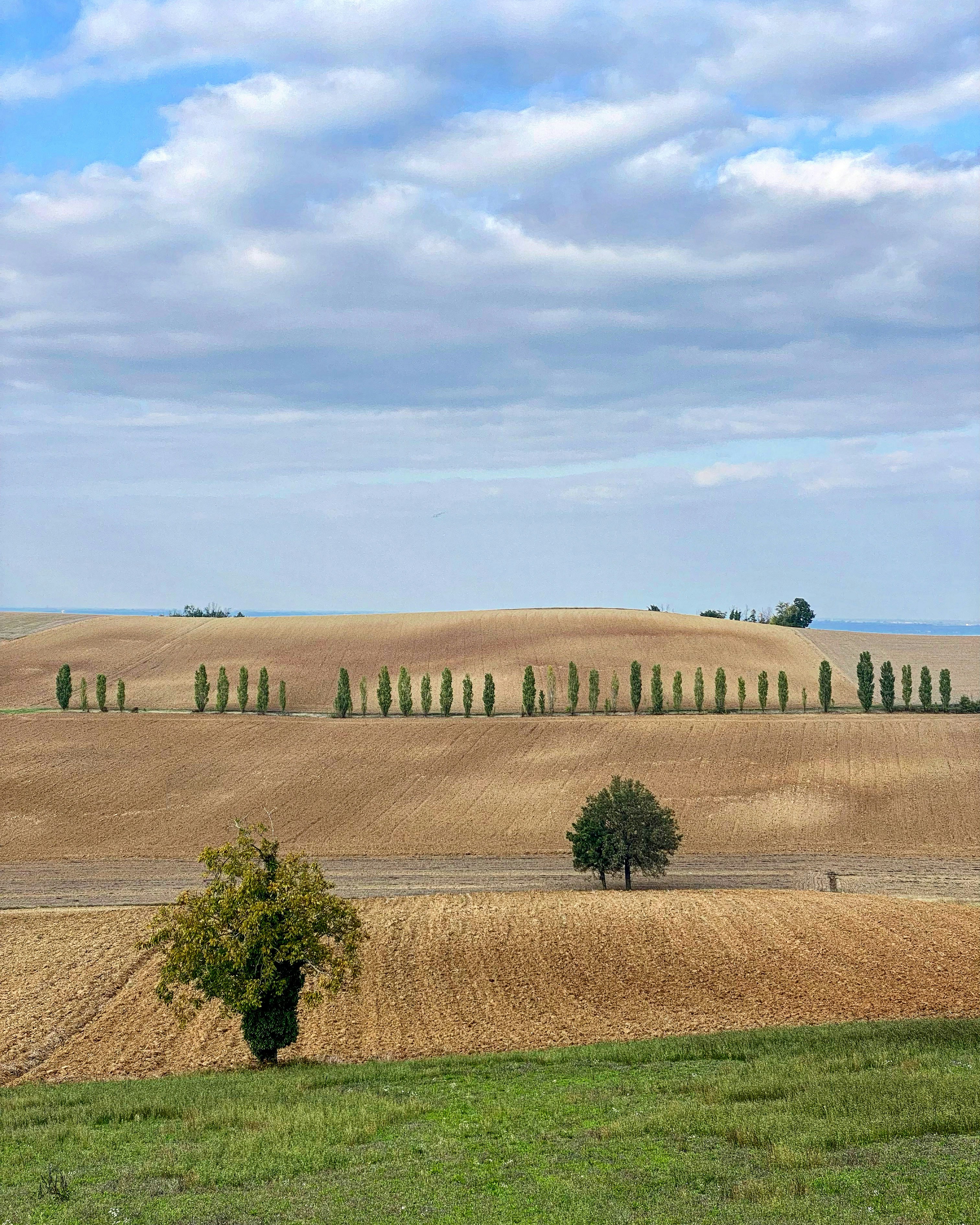 Un grand champ avec des arbres au milieu photo – Photo San Salvatore ...