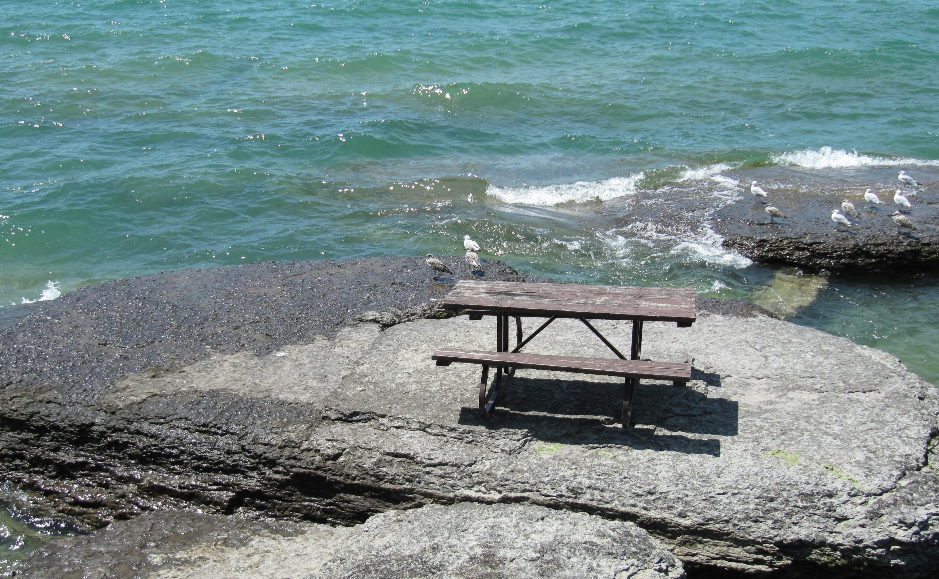 A weathered picnic table sits atop a rocky outcrop by the shimmering sea, with gentle waves lapping at the shore and seagulls perched nearby.
